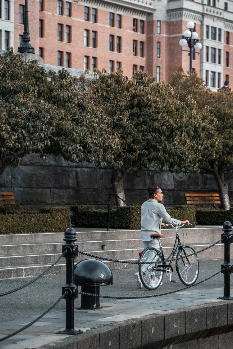 Step-Through Bike (Black) — Lochside Cycles