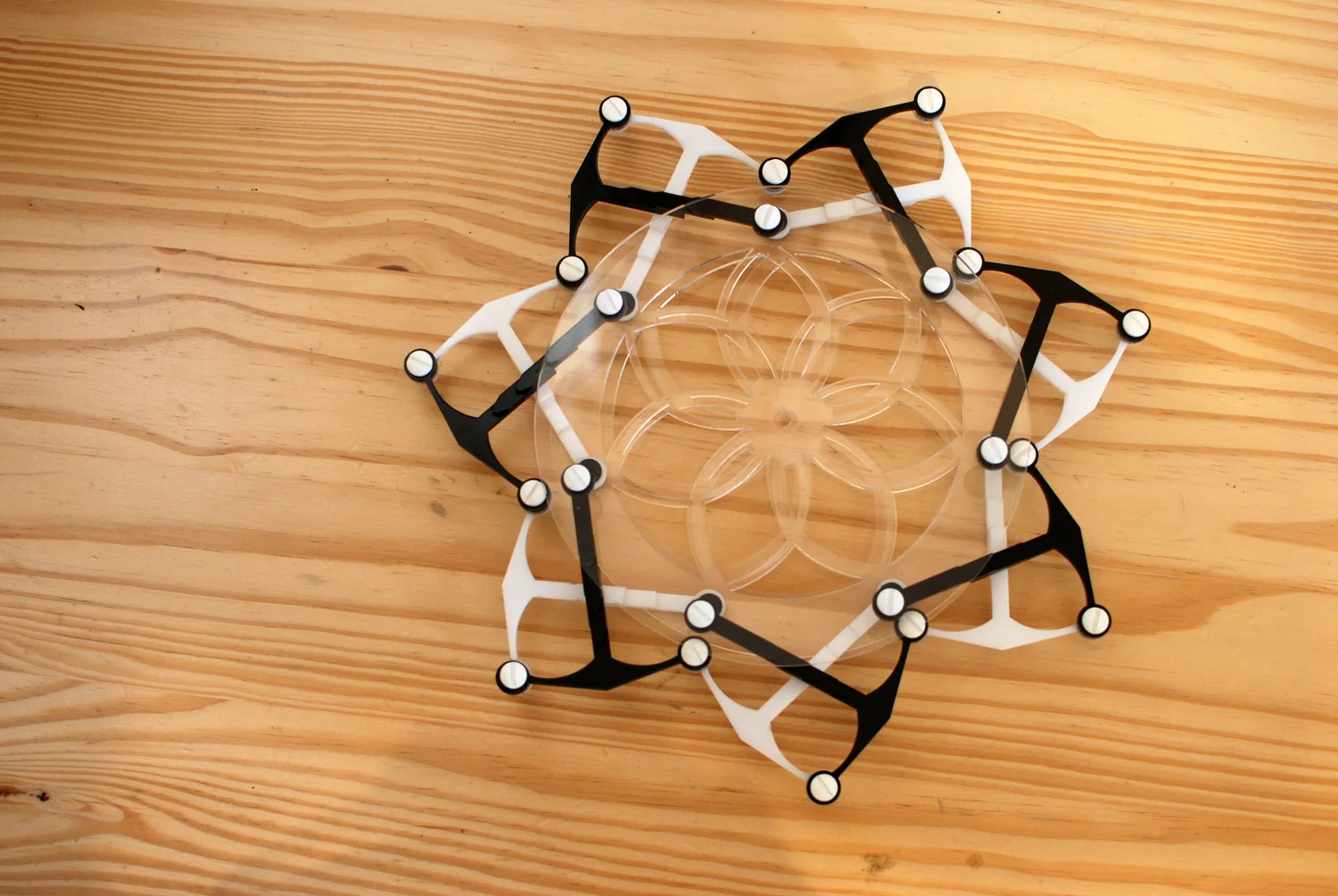 transformable design — Ani Liu