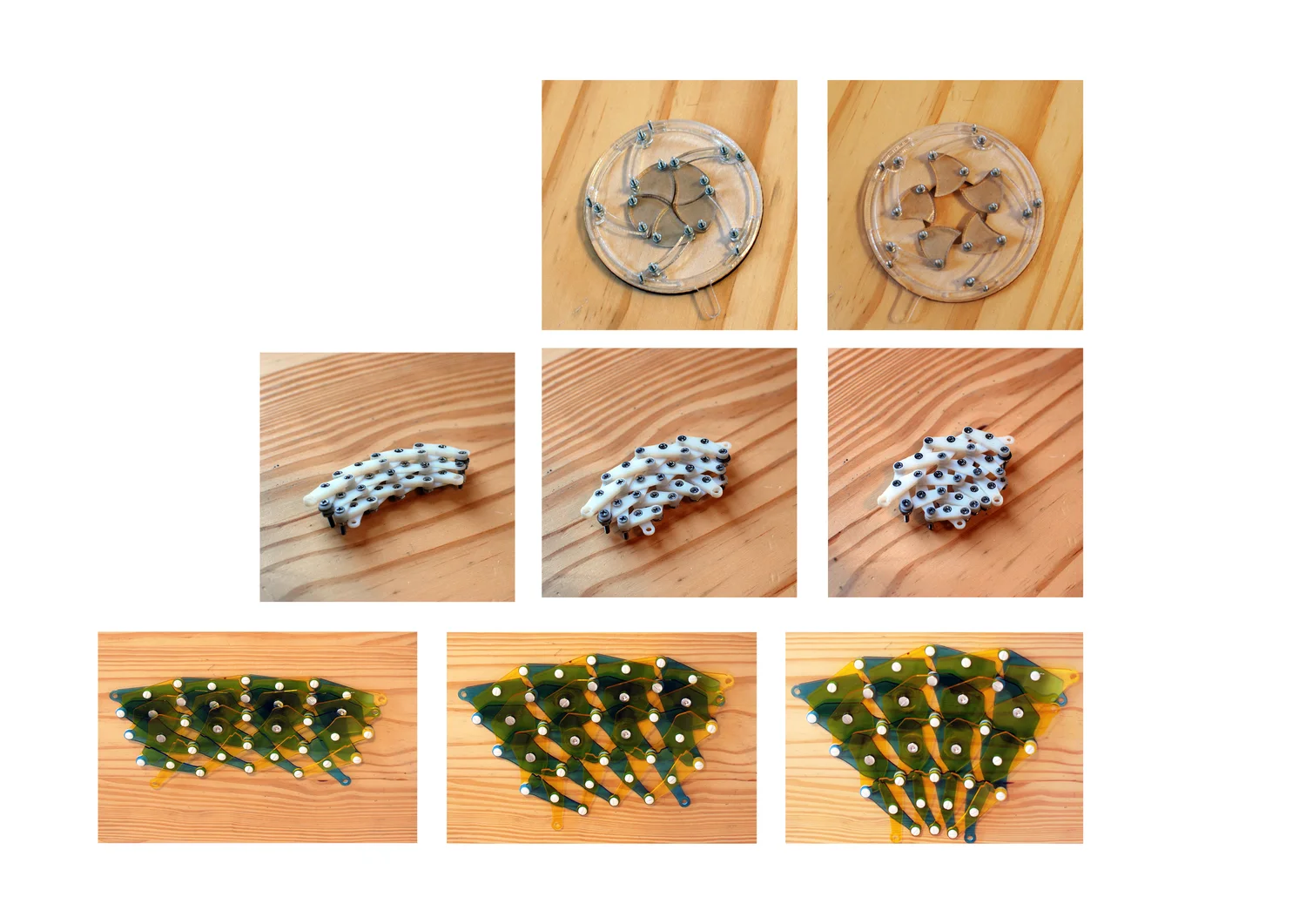 transformable design — Ani Liu