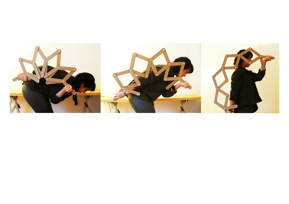 transformable design — Ani Liu