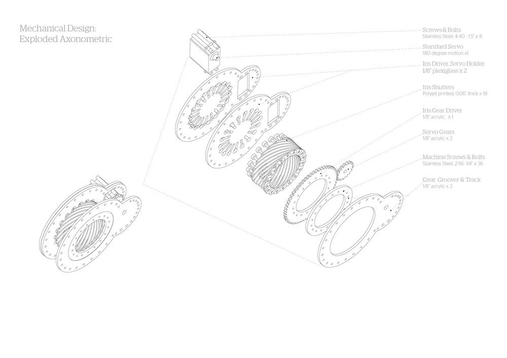 transformable design — Ani Liu
