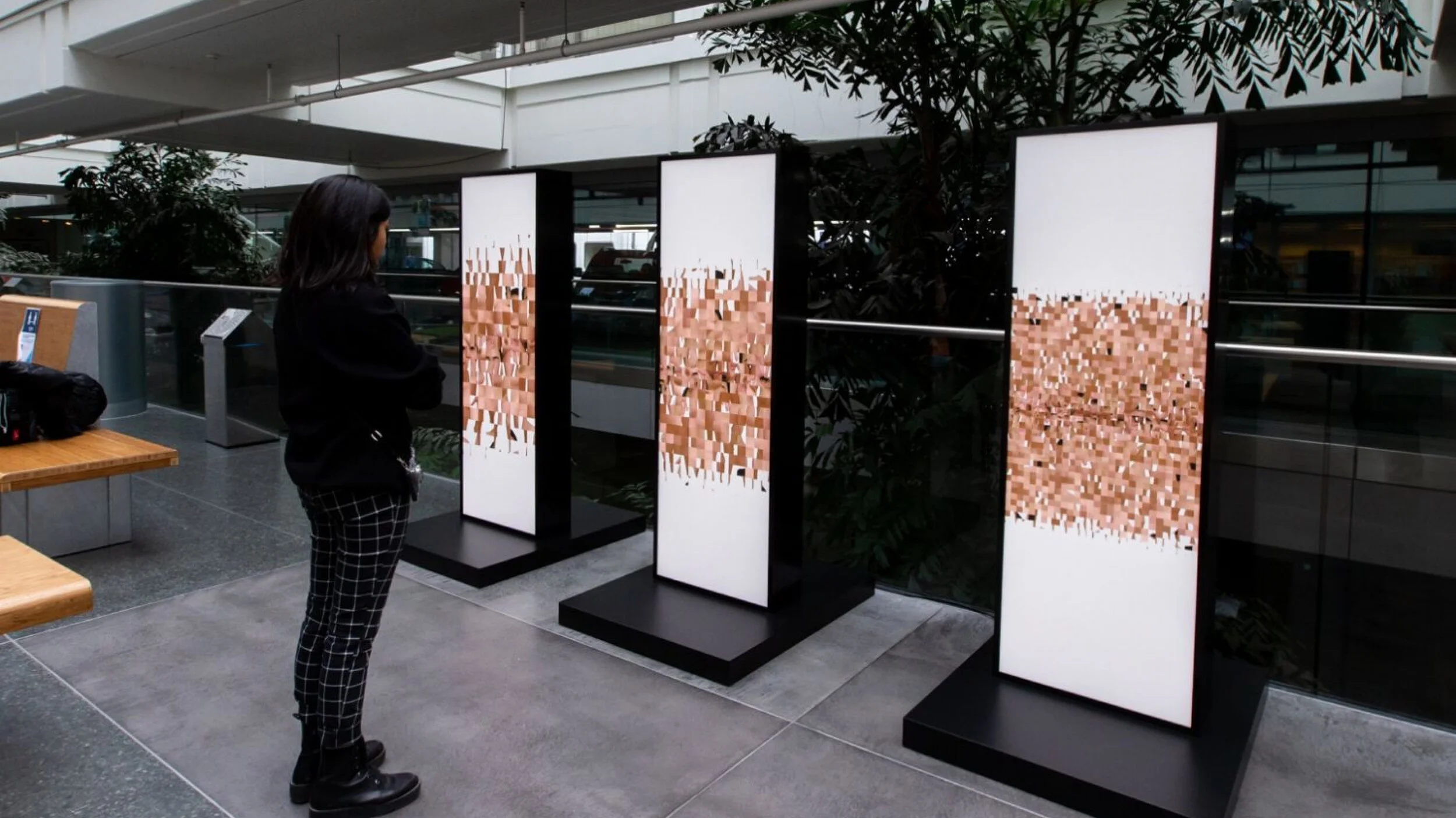biologically algorithmic — Ani Liu