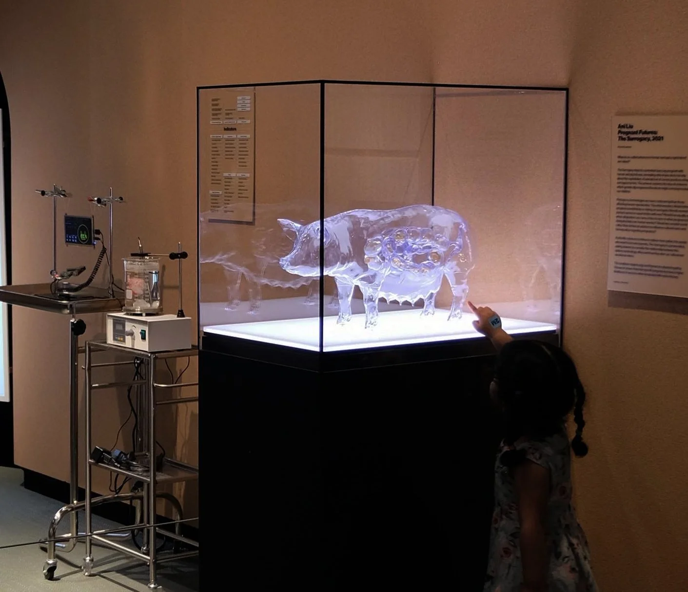 the surrogacy — Ani Liu