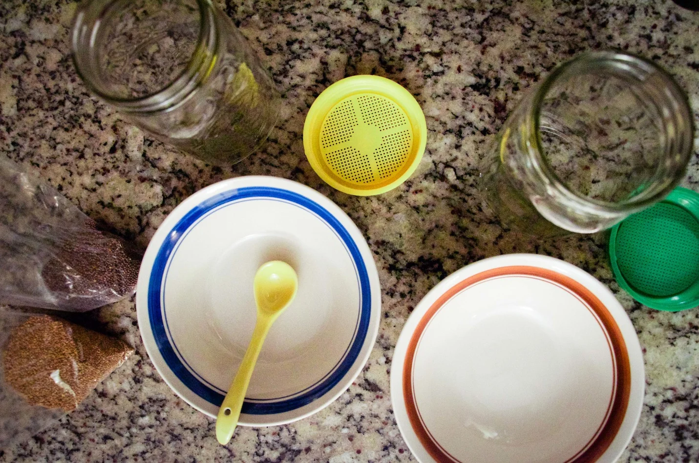 Easy Seed Sprouting: 5 Simple Methods for Healthy Growth