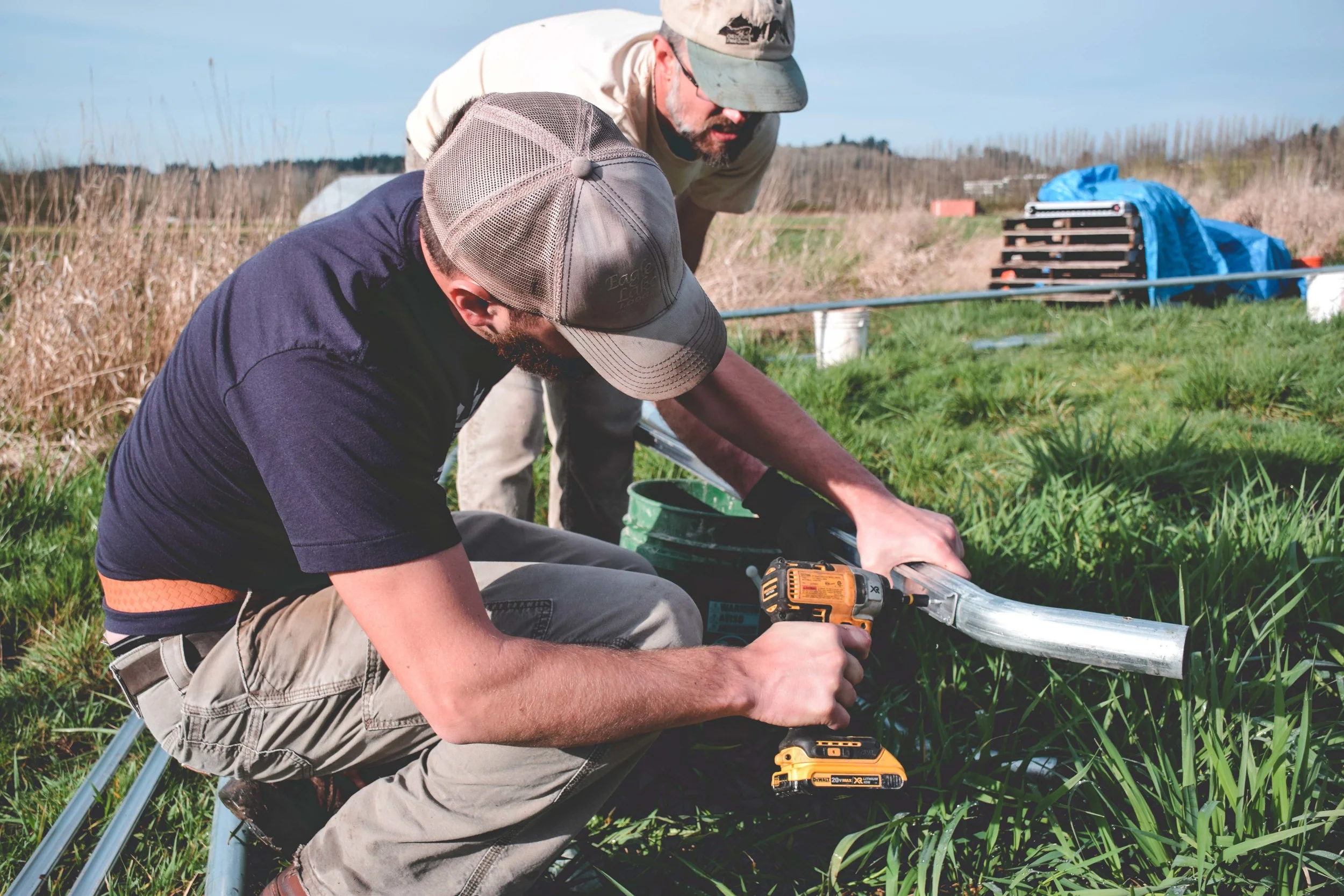 Latest Developments in Our Greenhouse Technology System