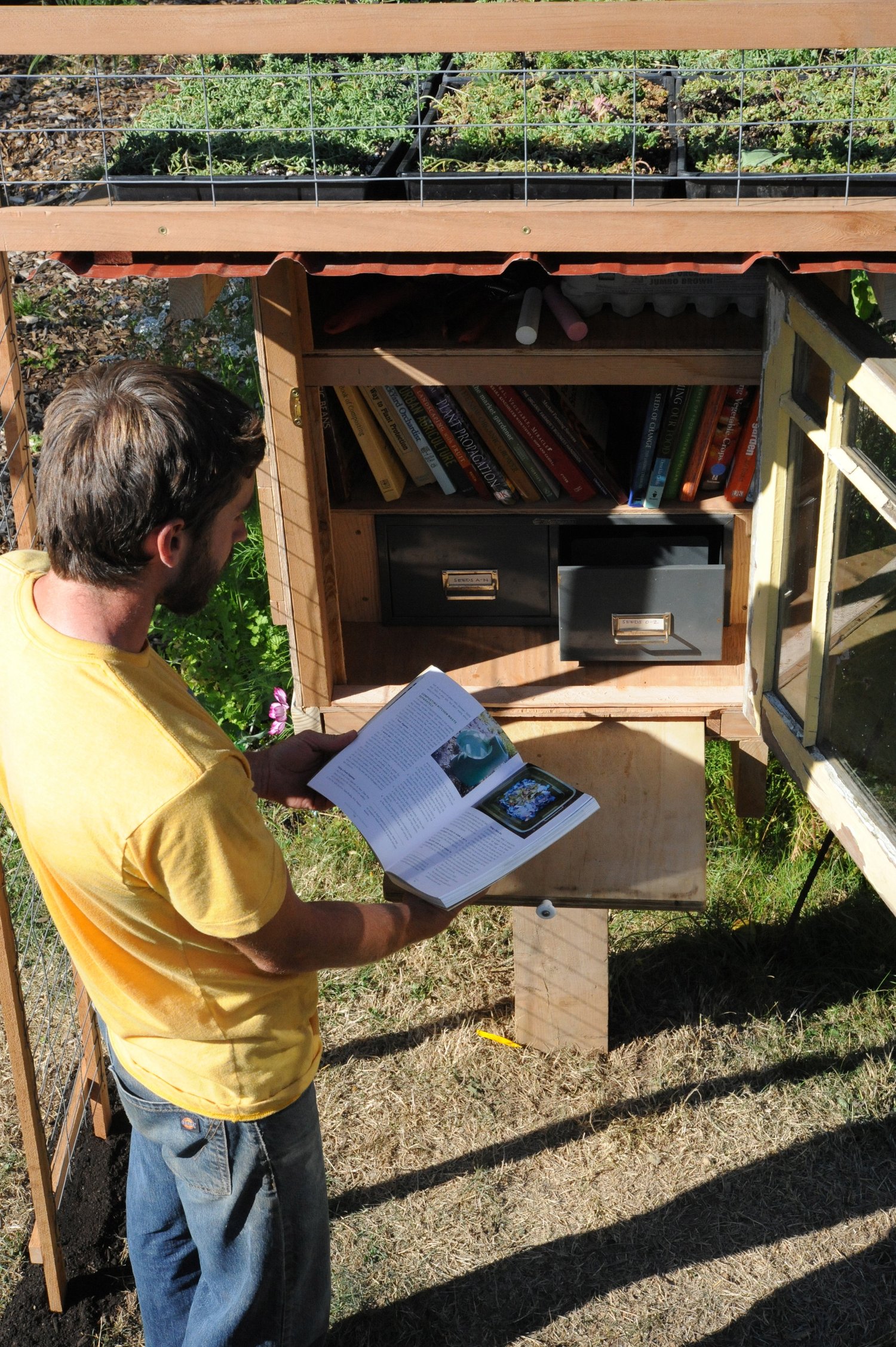 Multi-Faceted Little Free Seed Library for Flexible Surfaces