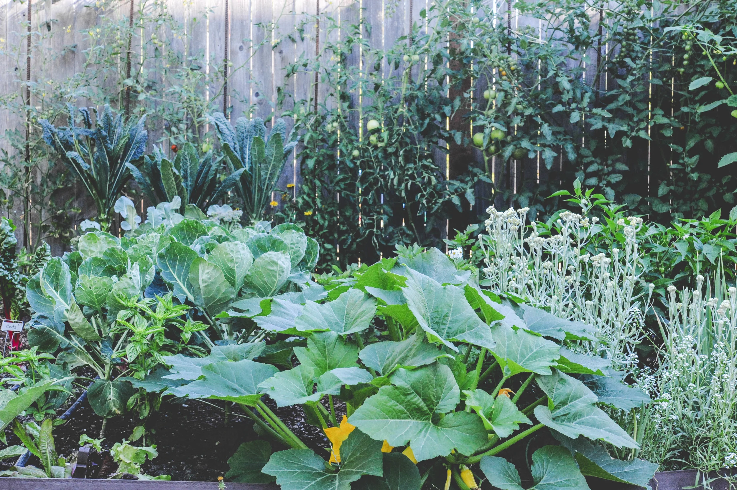 A Gardener's Guide to Reflecting, Planning, and Nurturing Soil Health