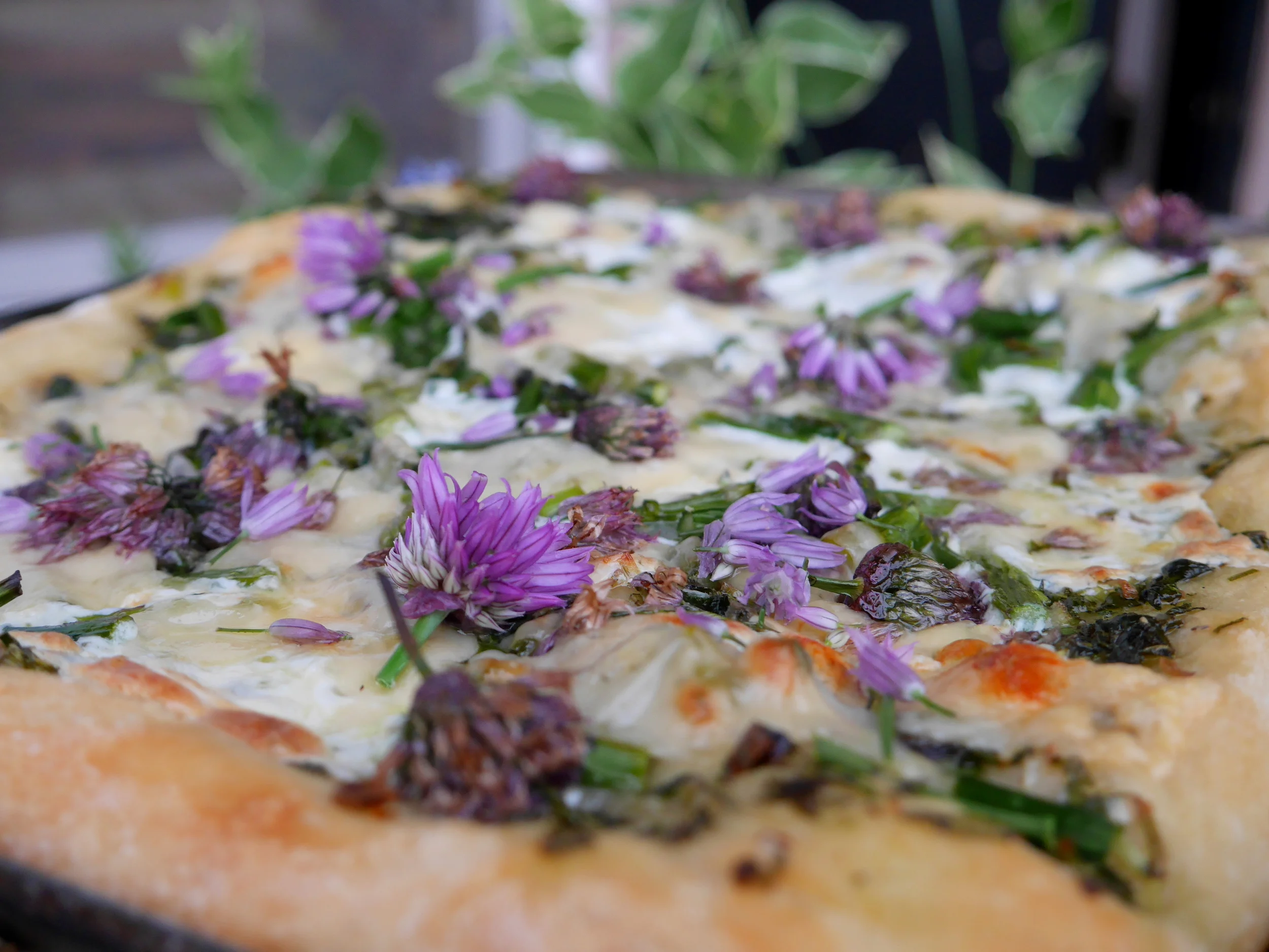 Pizza Edible Flowers