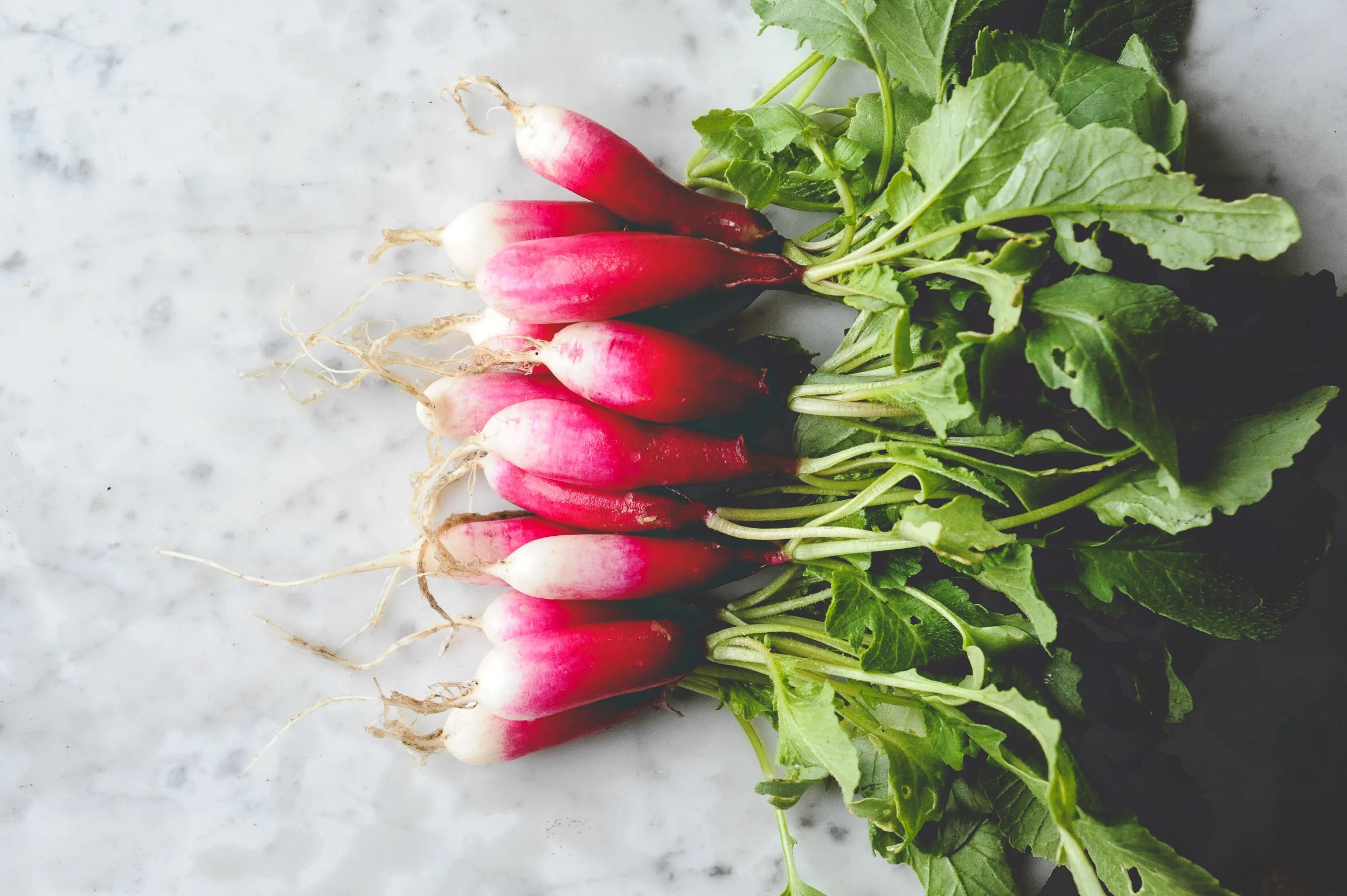 Tips For Planning And Planting Your Fall Radish