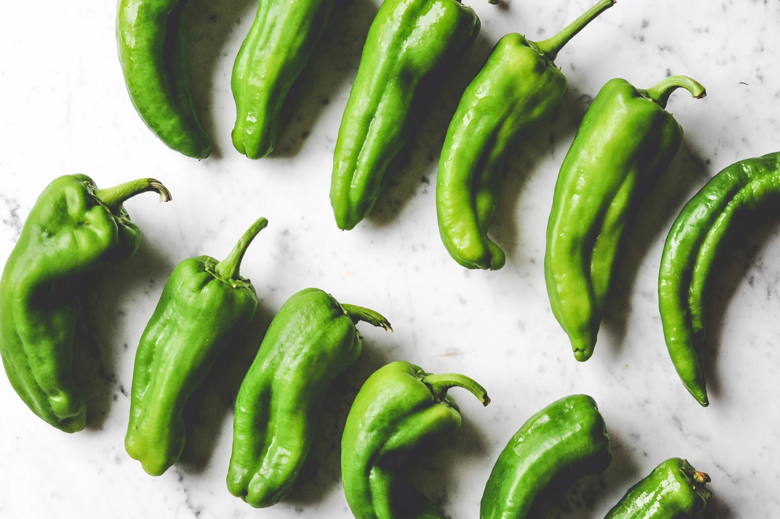 The Best Time to Harvest Peppers | Seattle Urban Farm Co