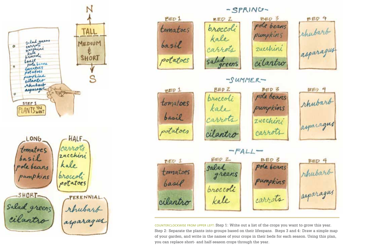 Create a Plan For Crop Rotation With These Essential Steps.