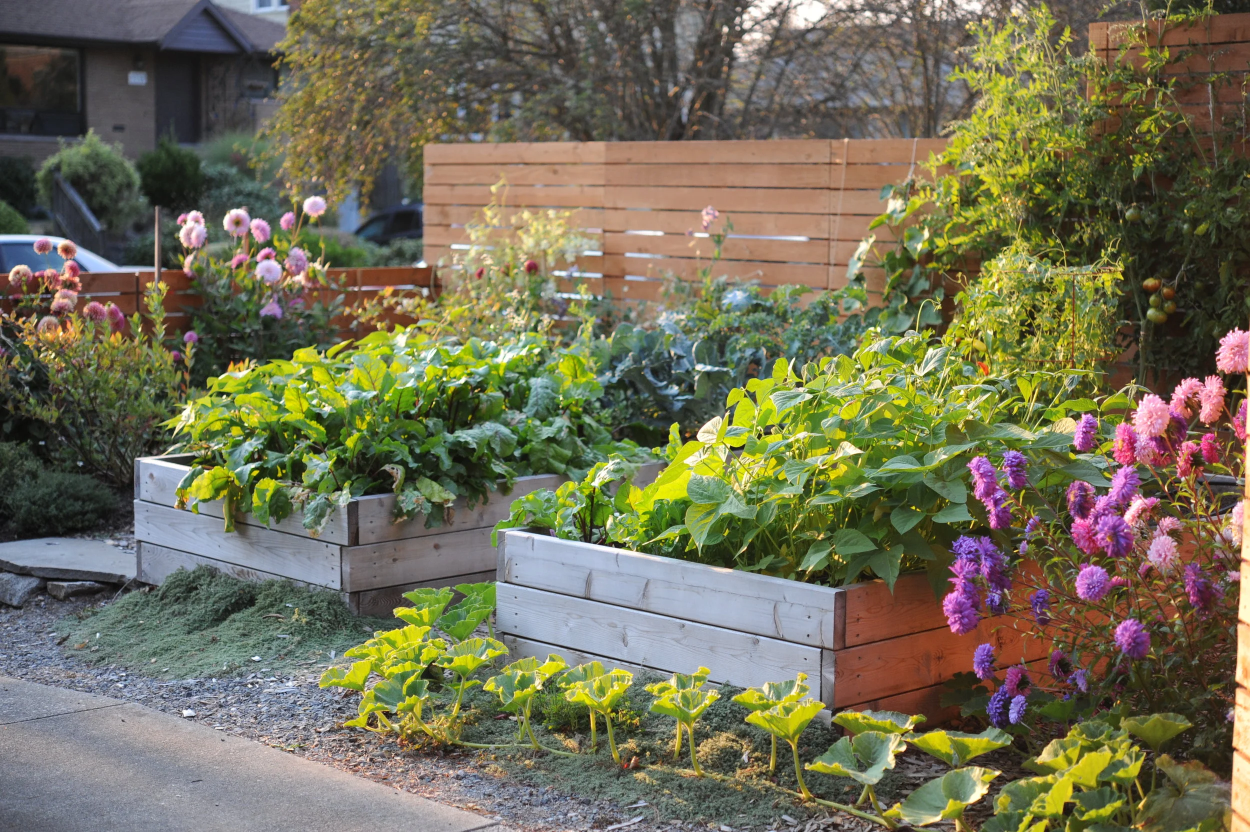 Create a Plan For Crop Rotation With These Essential Steps.