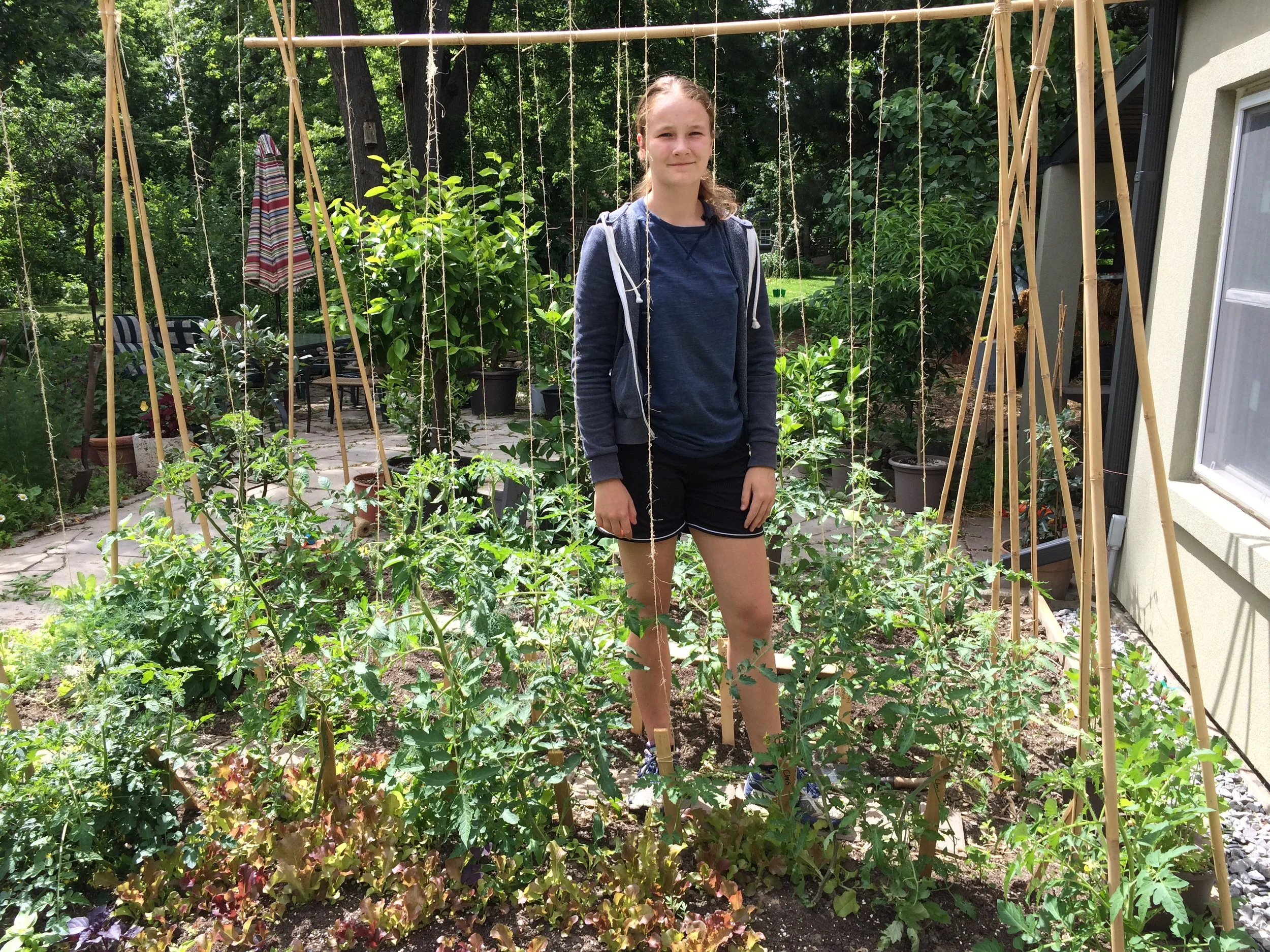 Episode 103: Tomatoes with Emma Biggs