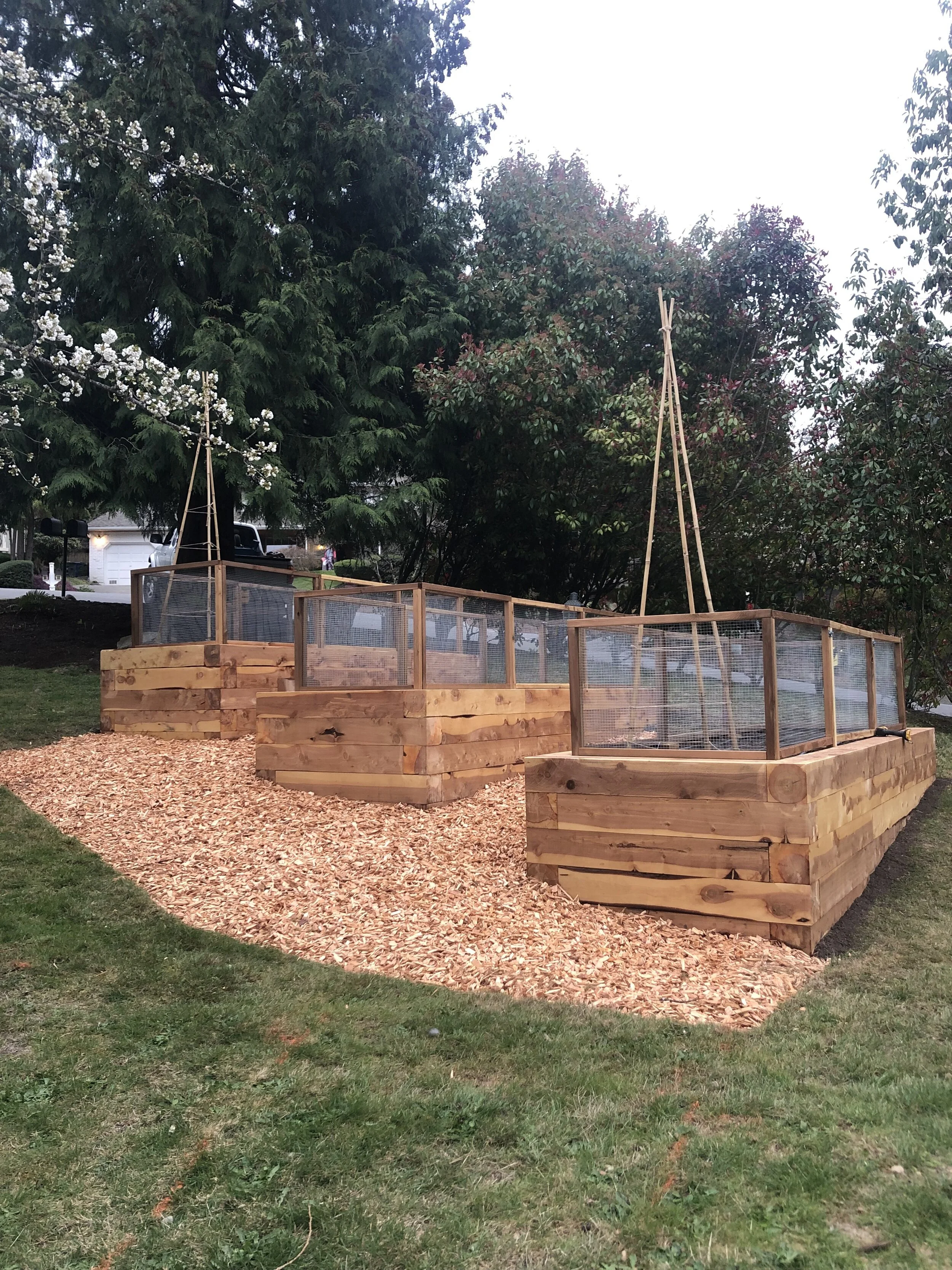 Wood-Framed vs Mounded Bed: Navigating Your Garden Landscape
