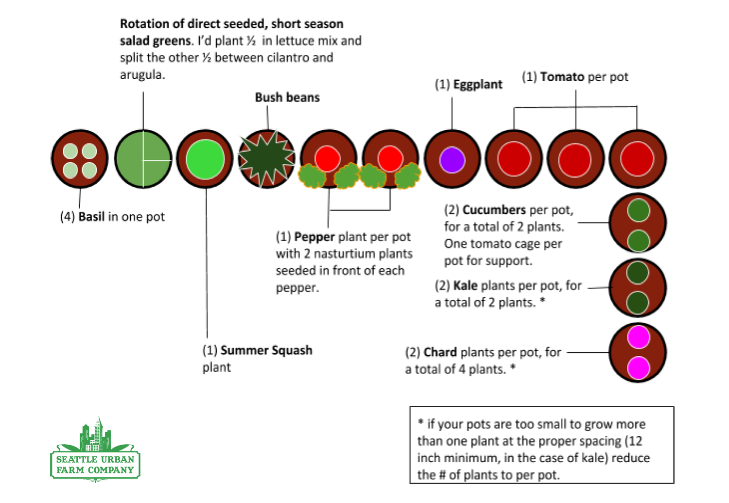 Quick & Easy Container Gardening DIY for Enthusiasts