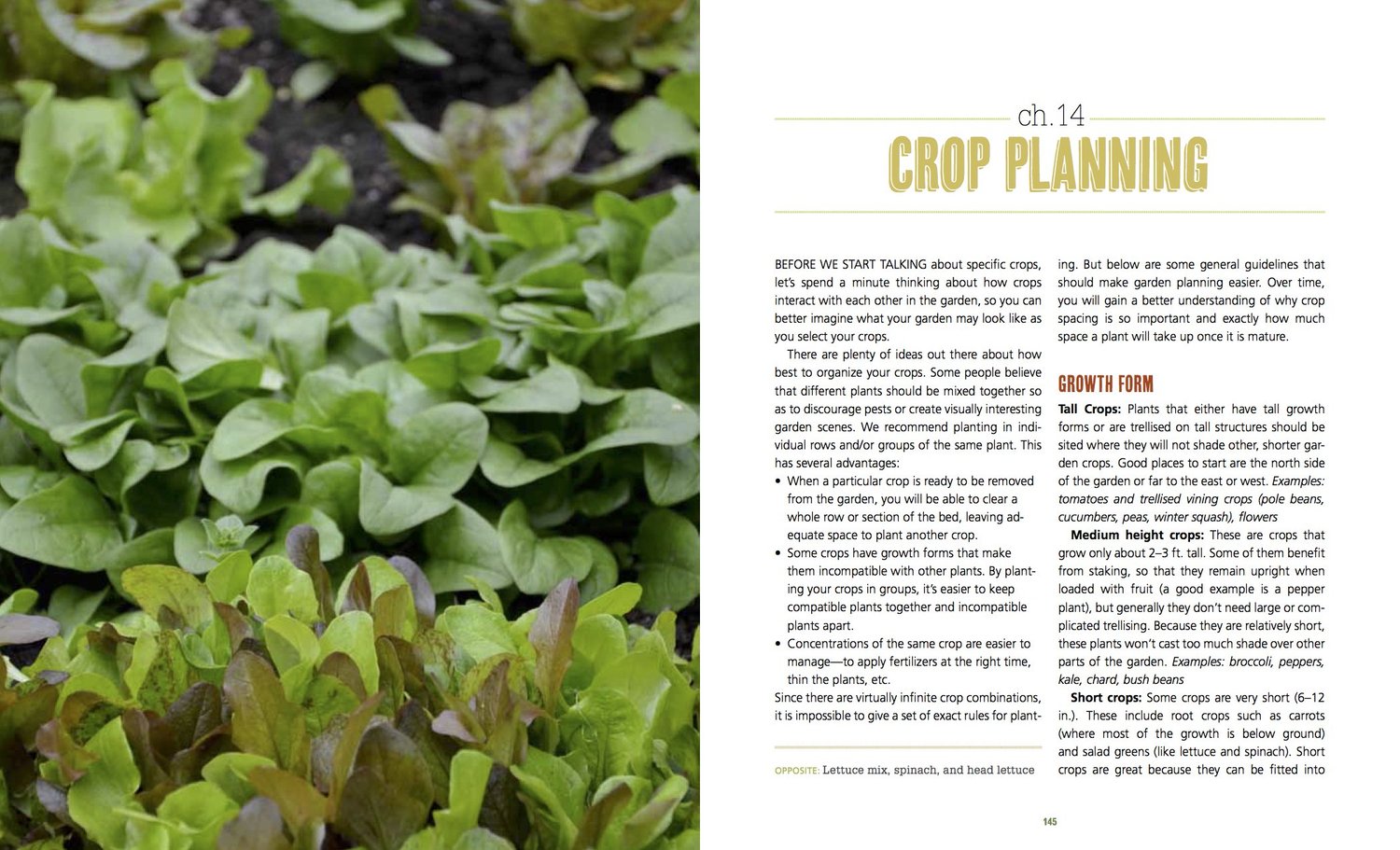 Crop Planning Made Easy: Insights from Our Gardening Book