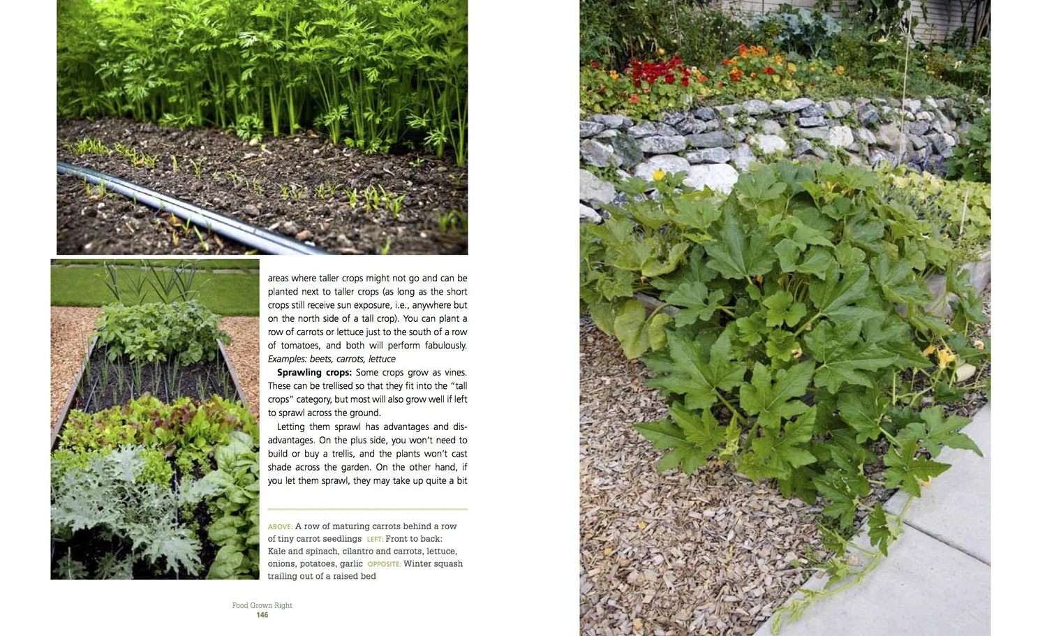 Crop Planning Made Easy: Insights from Our Gardening Book