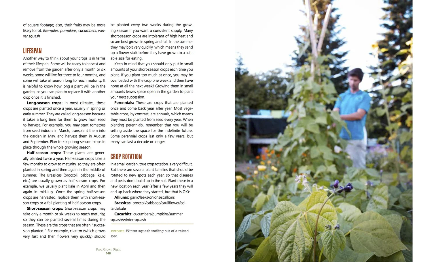 Crop Planning Made Easy: Insights from Our Gardening Book