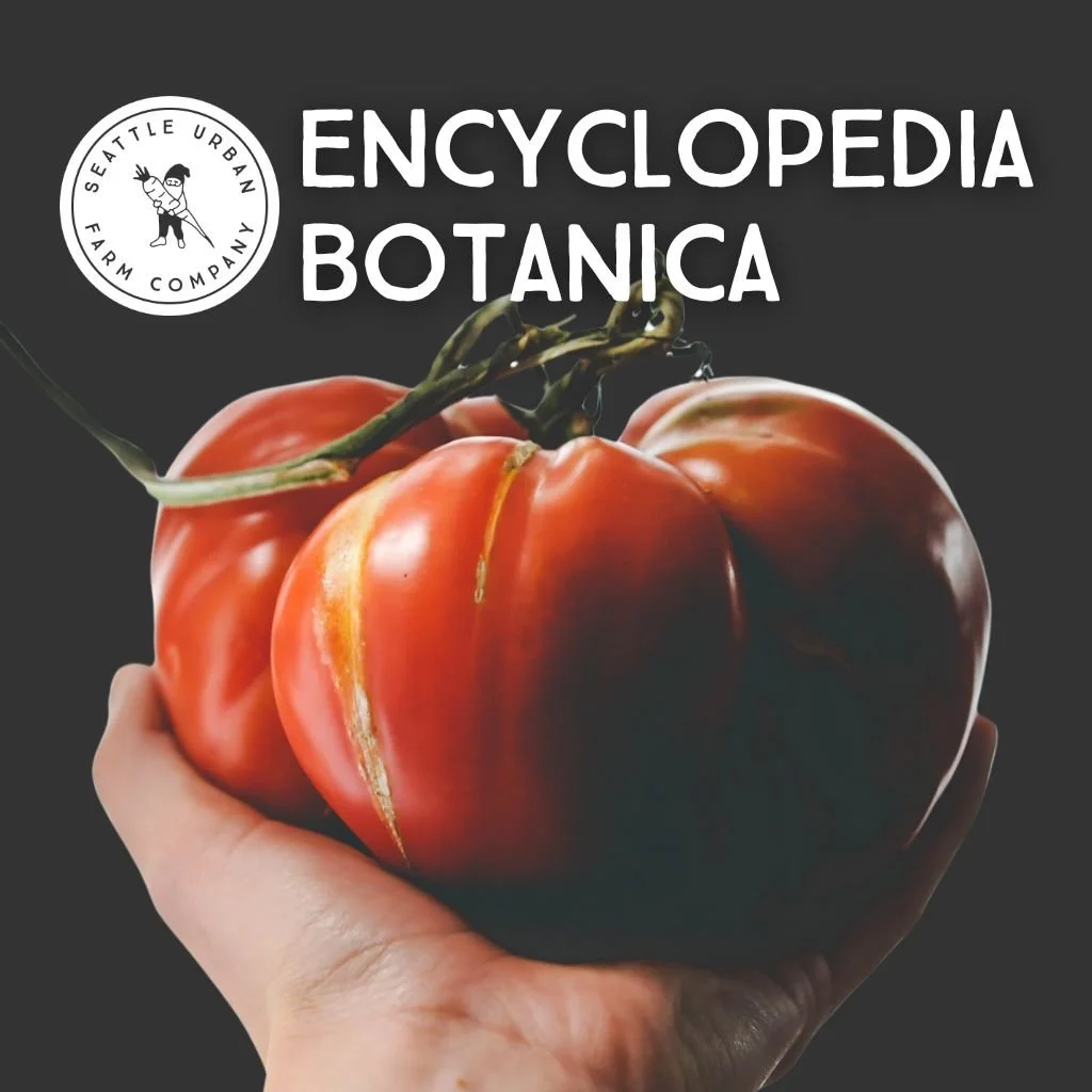 Check Out Recent Episodes and Encyclopedia Botanica Podcast