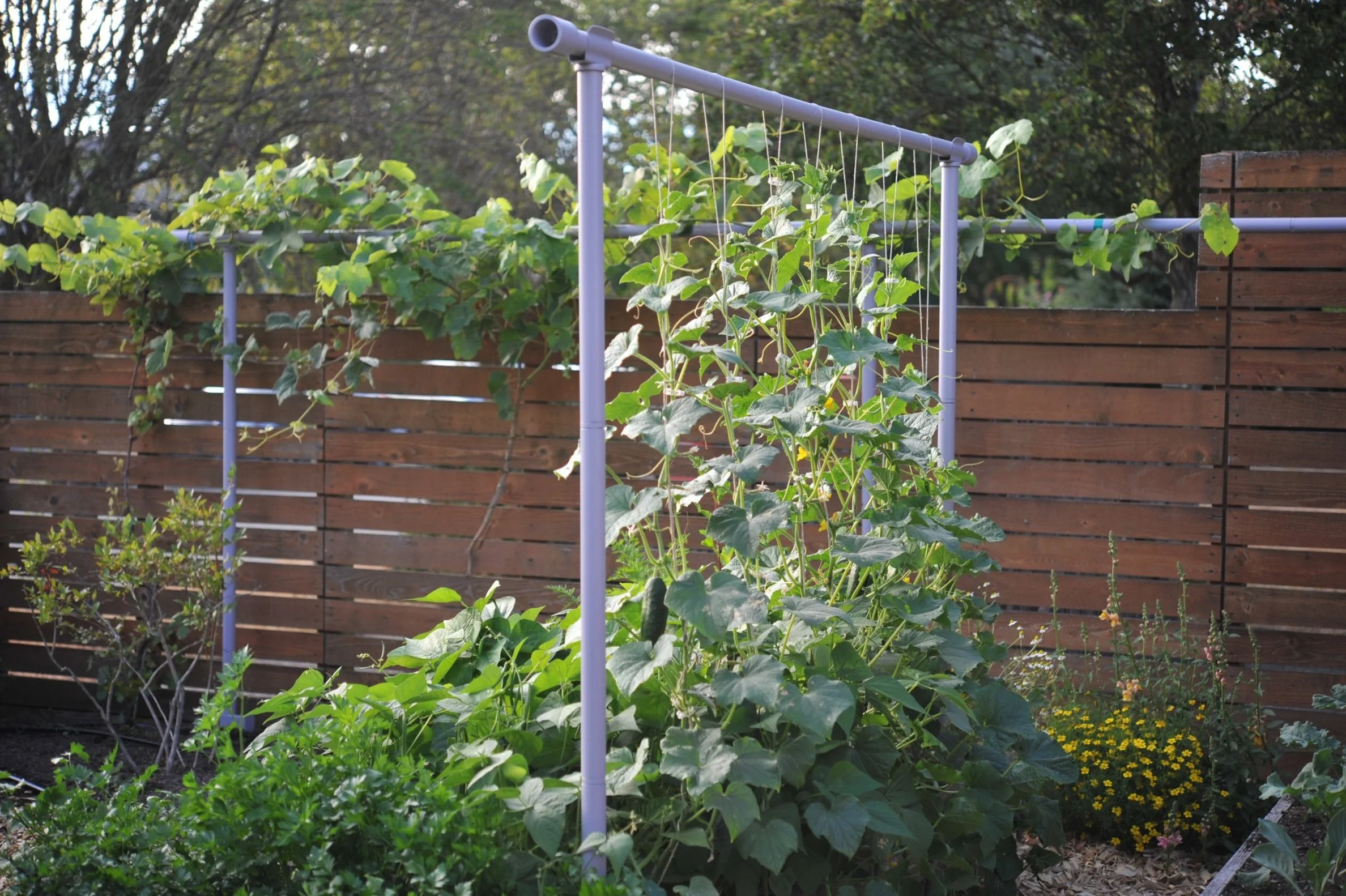 The Complete Garden Trellis Guide | Read More