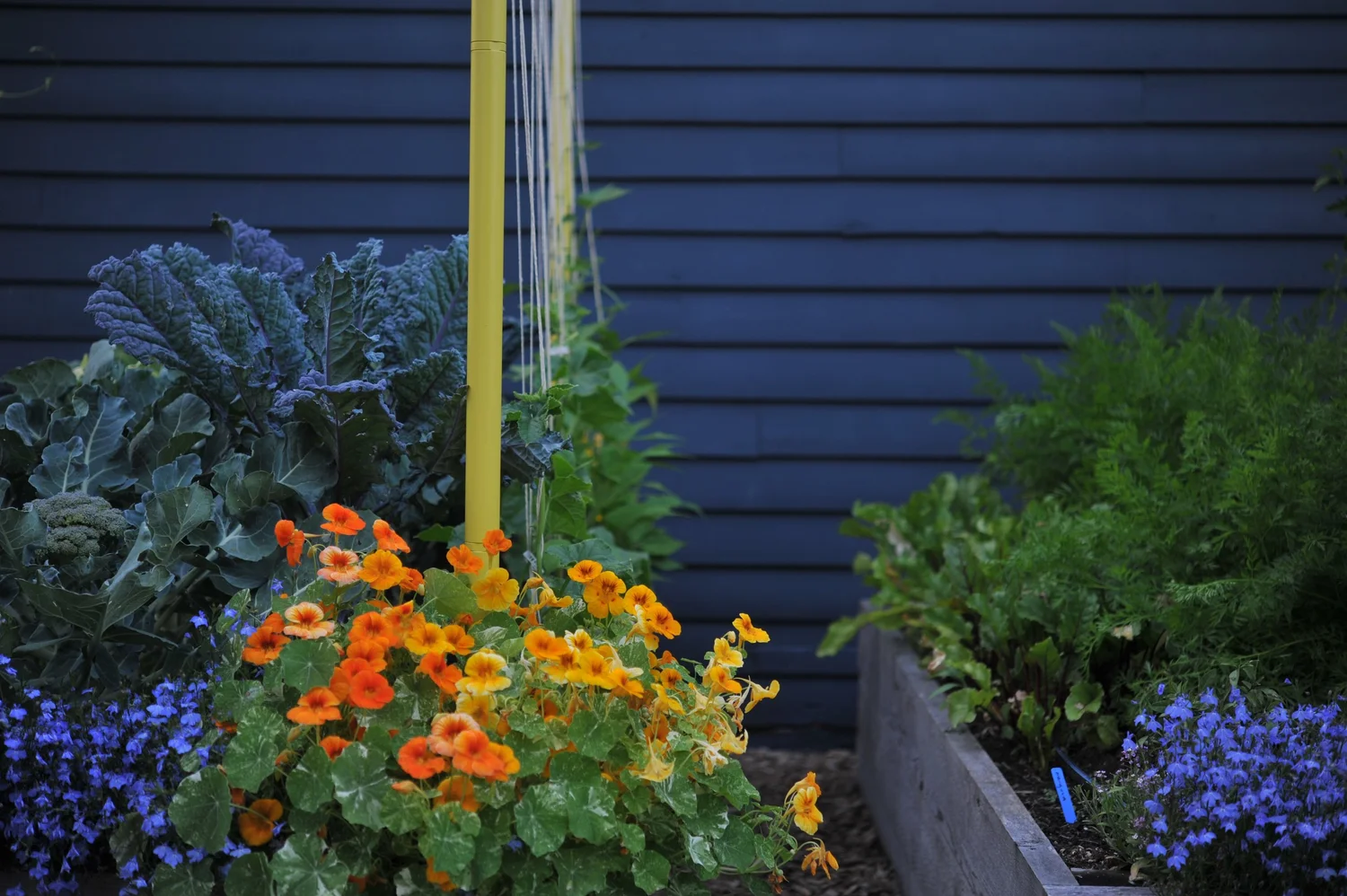 Vertical Bounty: Crops Thriving on Freyr Trellis Magic