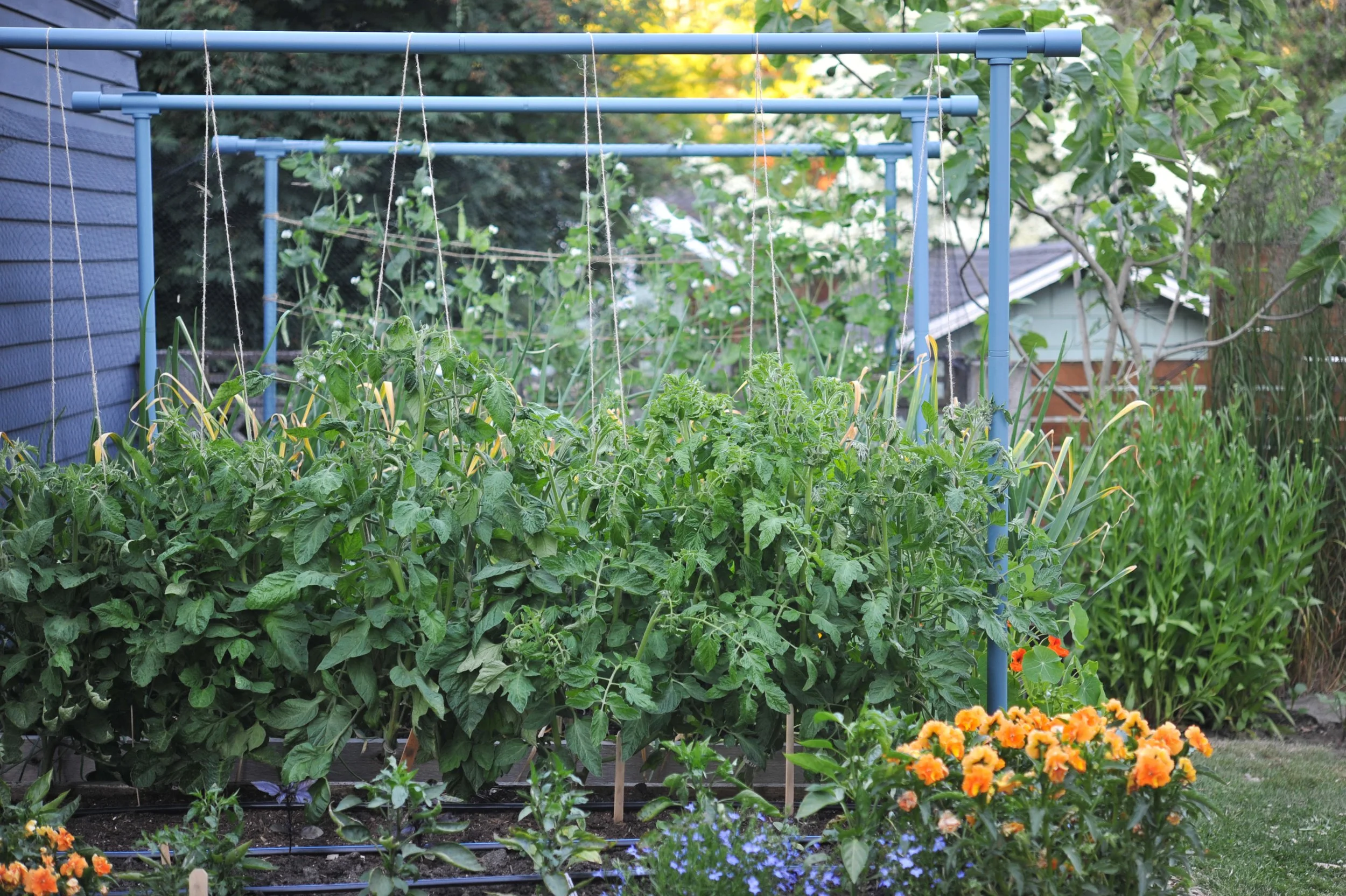 The Complete Garden Trellis Guide | Read More