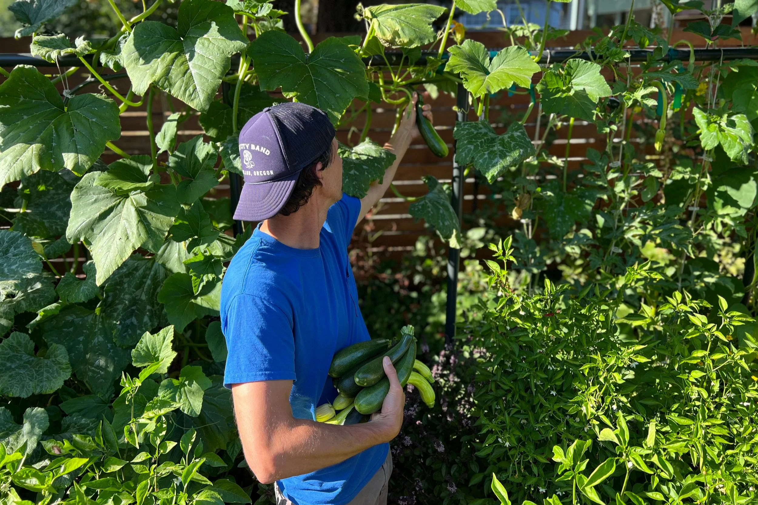 Vertical Bounty: Crops Thriving on Freyr Trellis Magic