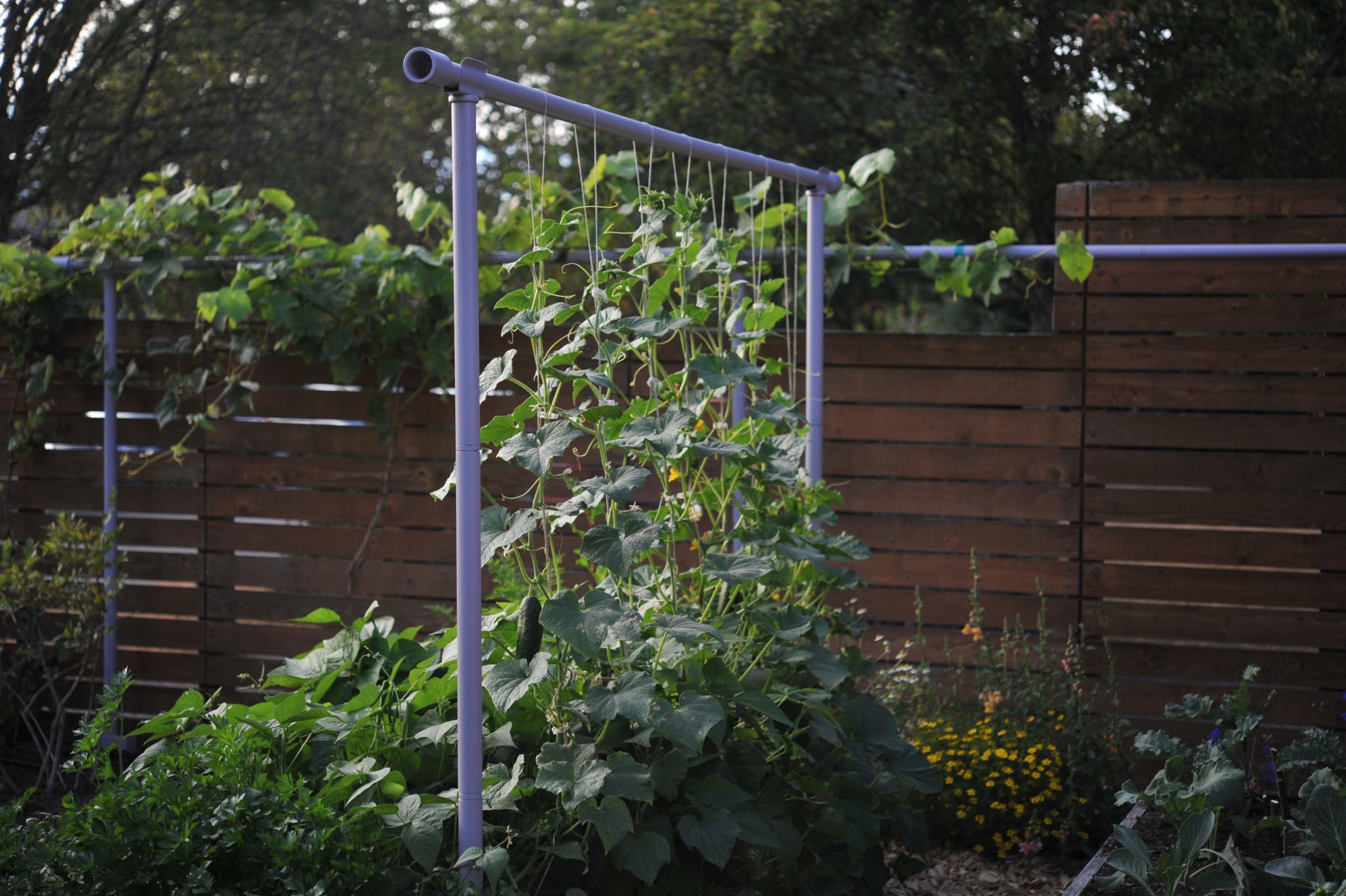 Vertical Bounty: Crops Thriving on Freyr Trellis Magic