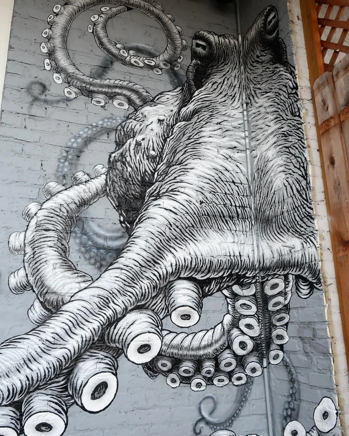 Jason Brammer: Visual Artist, Painter & Muralist