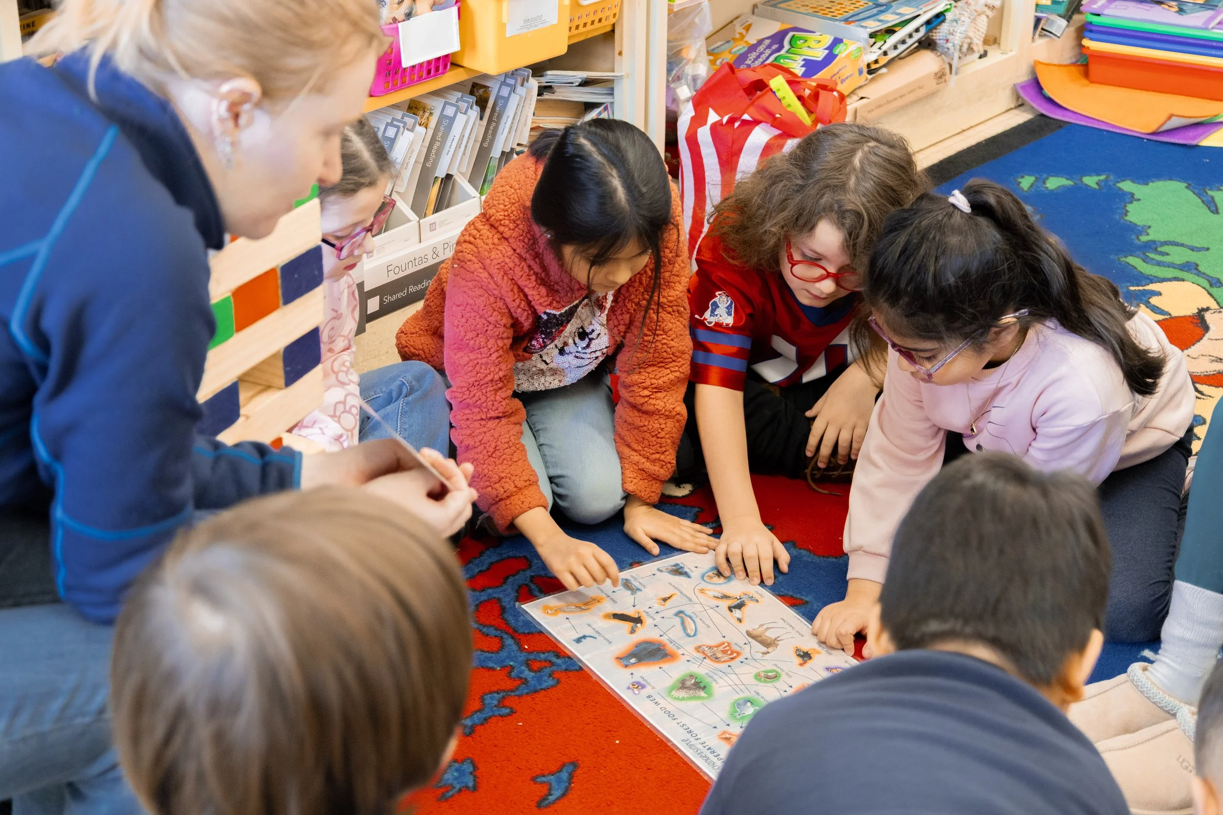 Invasive Species: How One Species Can Disrupt Entire Food Webs — Change ...