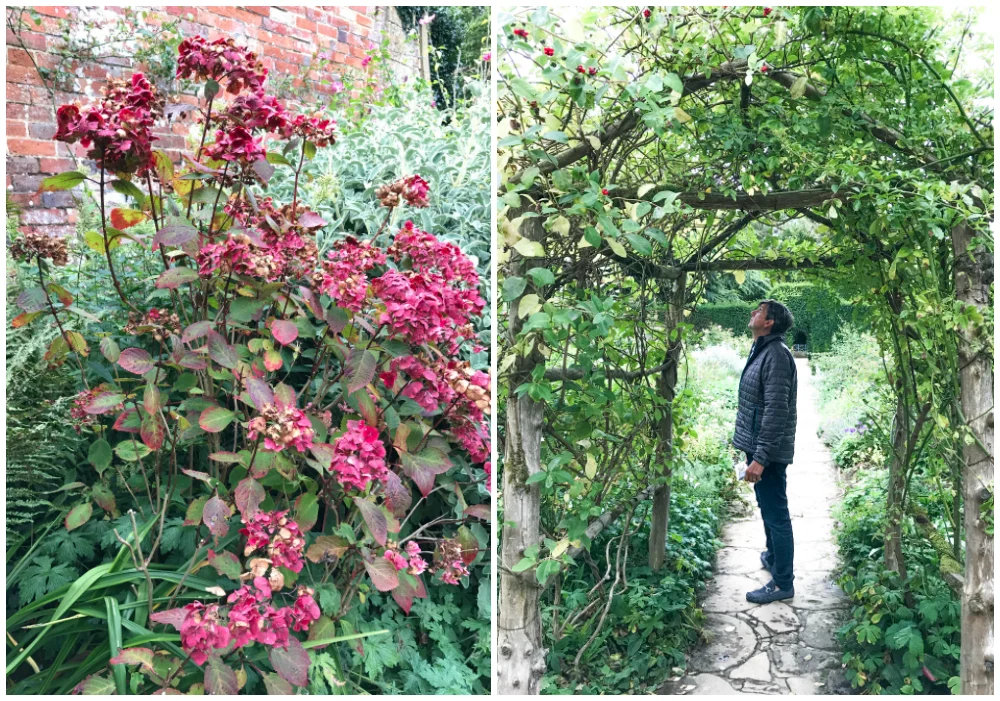 Audrey Hepburn's Hedgerow at Hidcote Manor Garden — The Bubble Joy