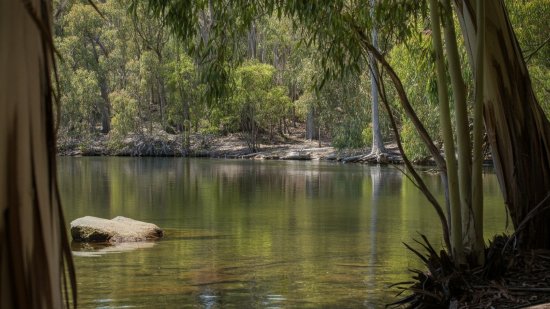 Eremos Institute — C G Jung Society of Melbourne Inc