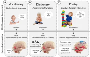NeuWrite West -- A brief history of our language for the brain ...