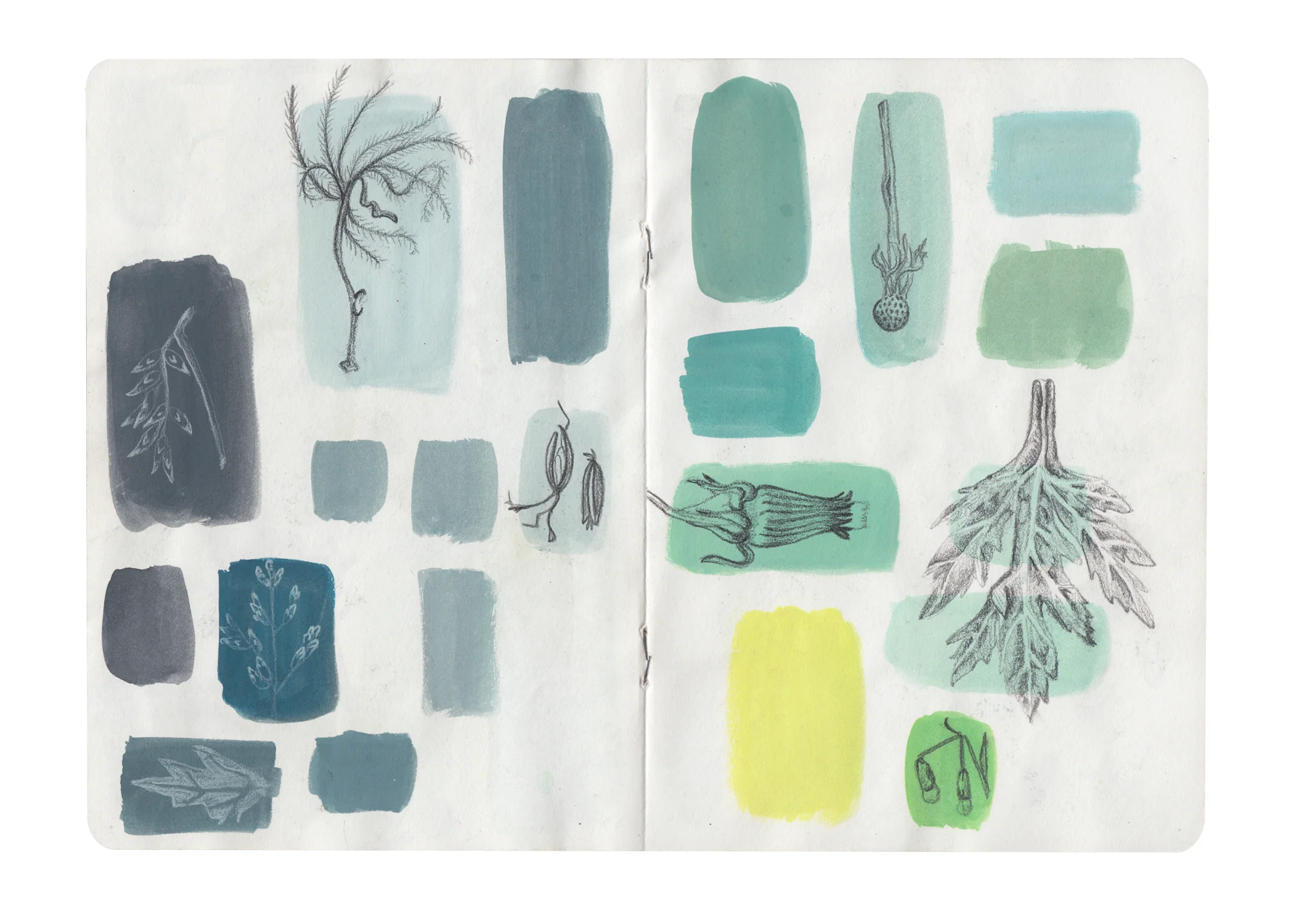 sara elands peterman