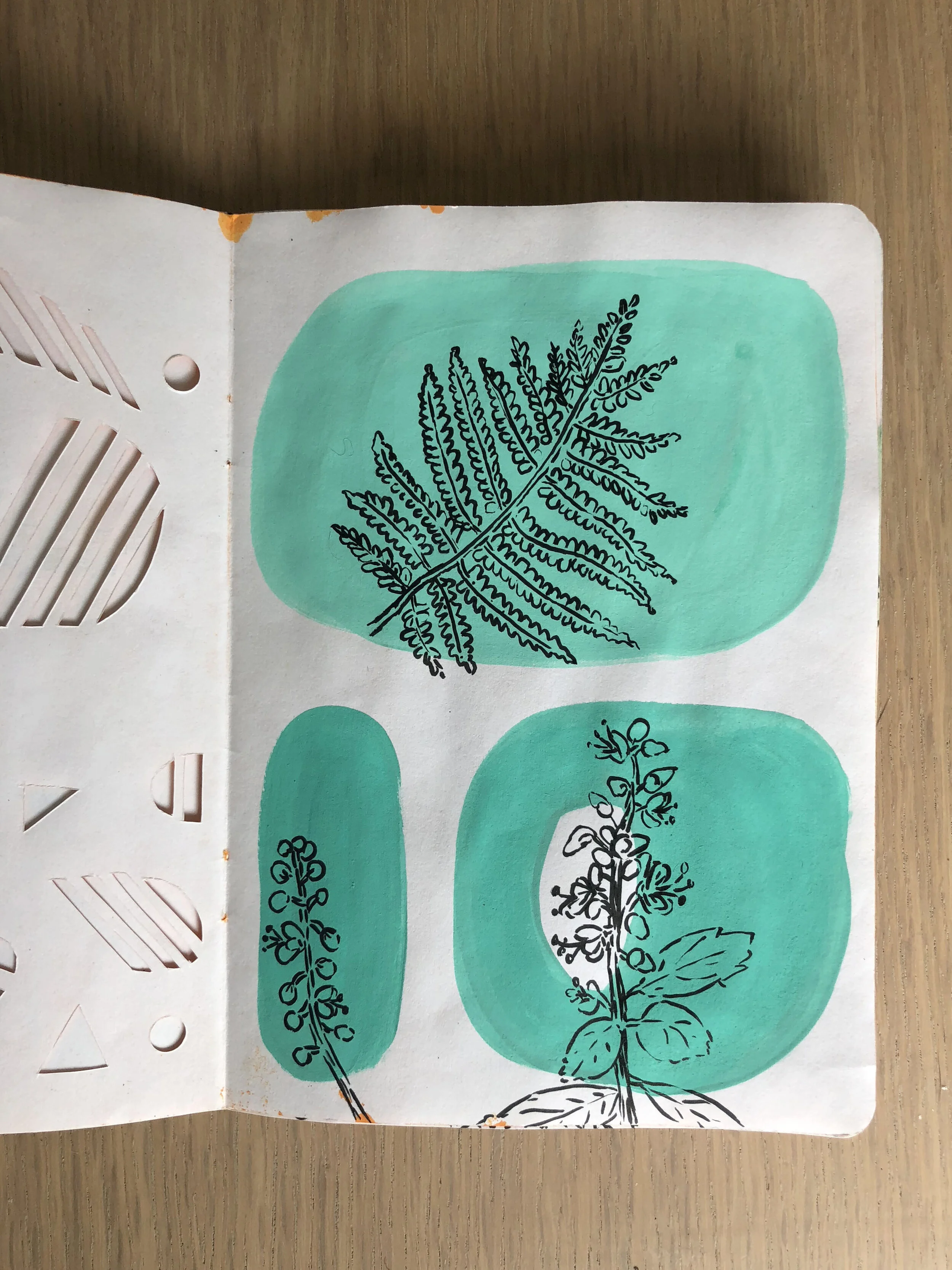 sara elands peterman