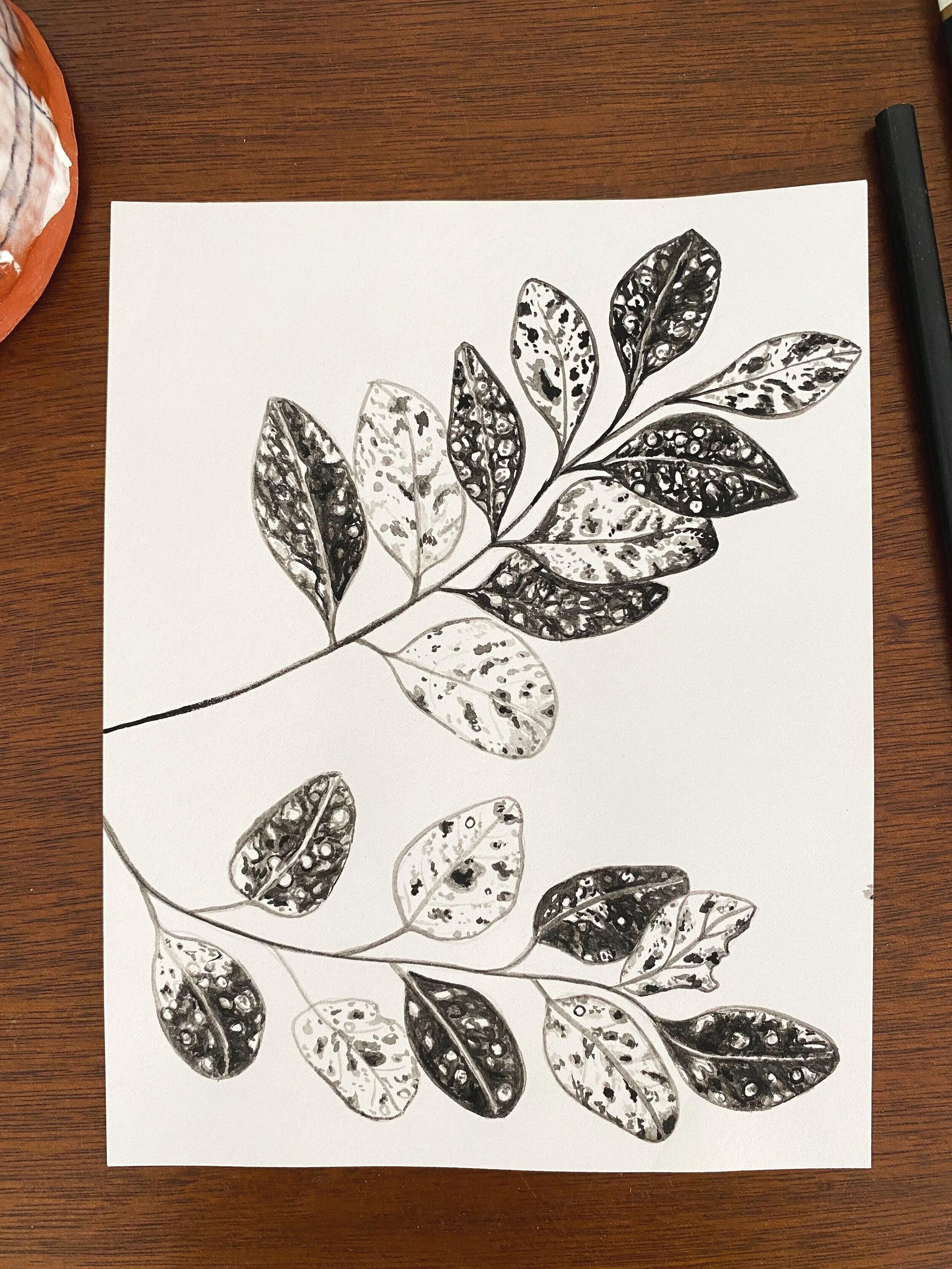 sara elands peterman