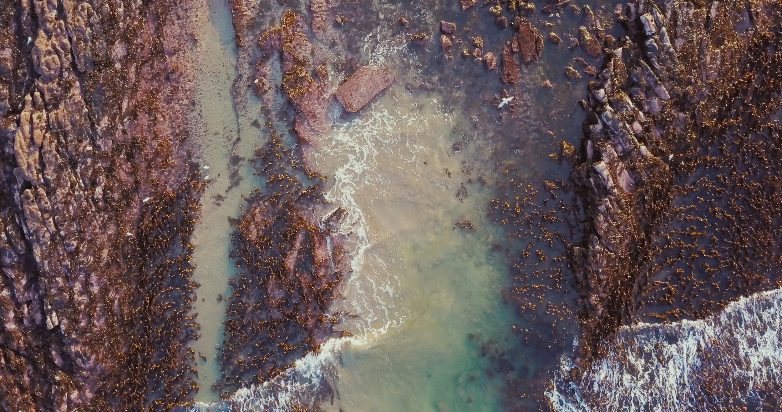 INSPIRED BY CAITHNESS