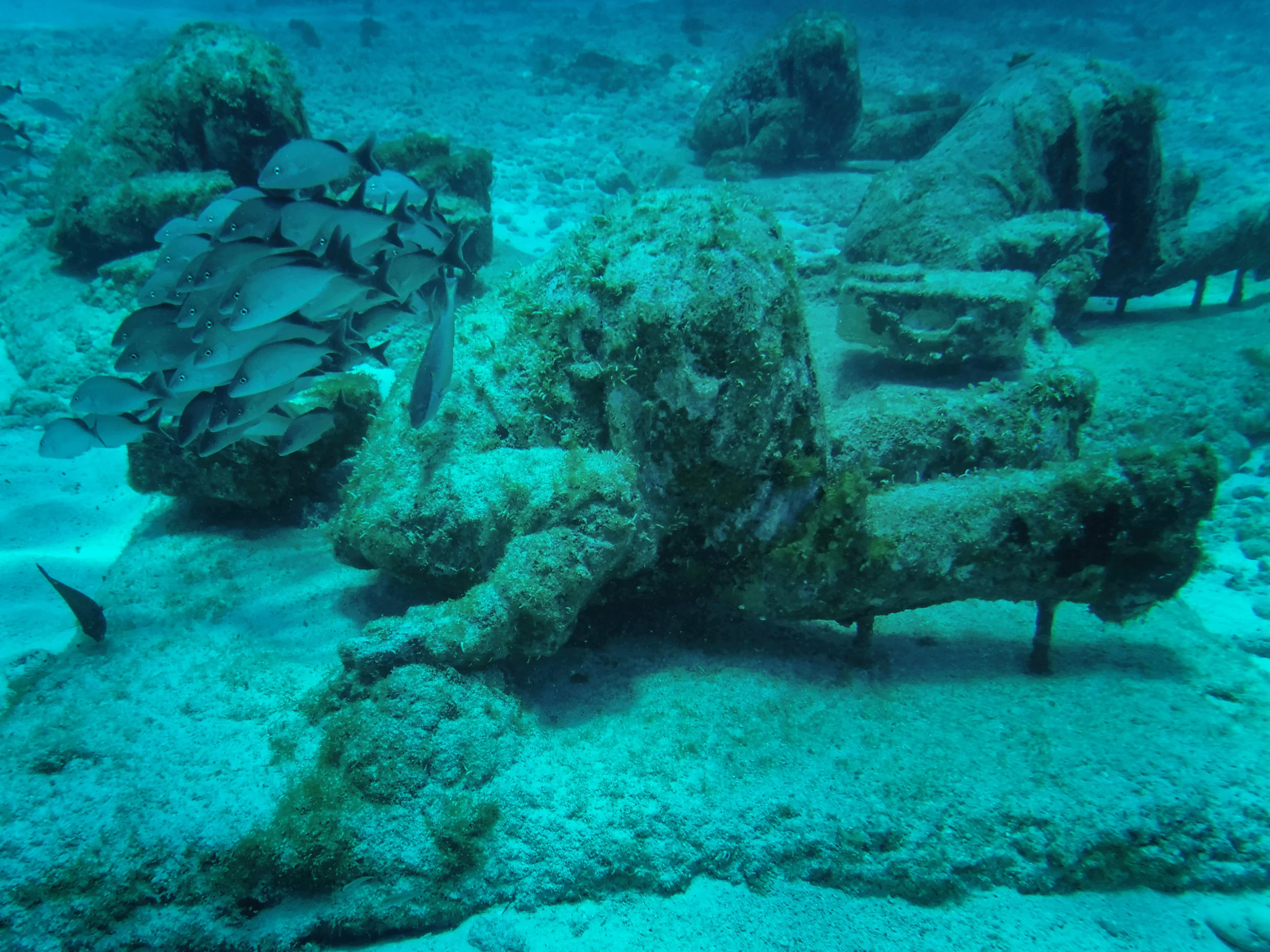 MUSA — Small Town Big World