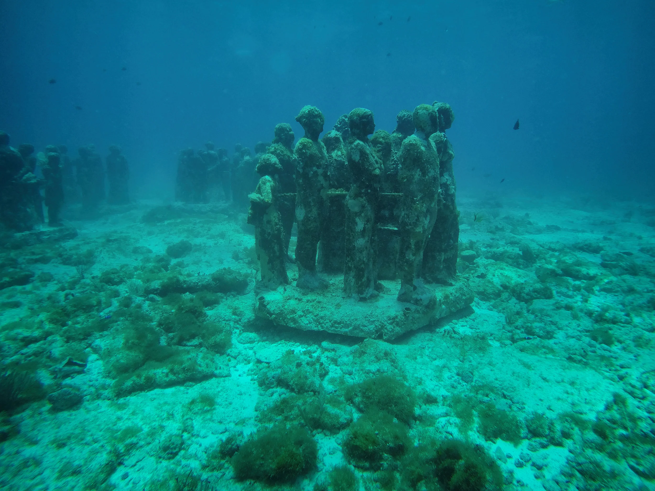 MUSA — Small Town Big World