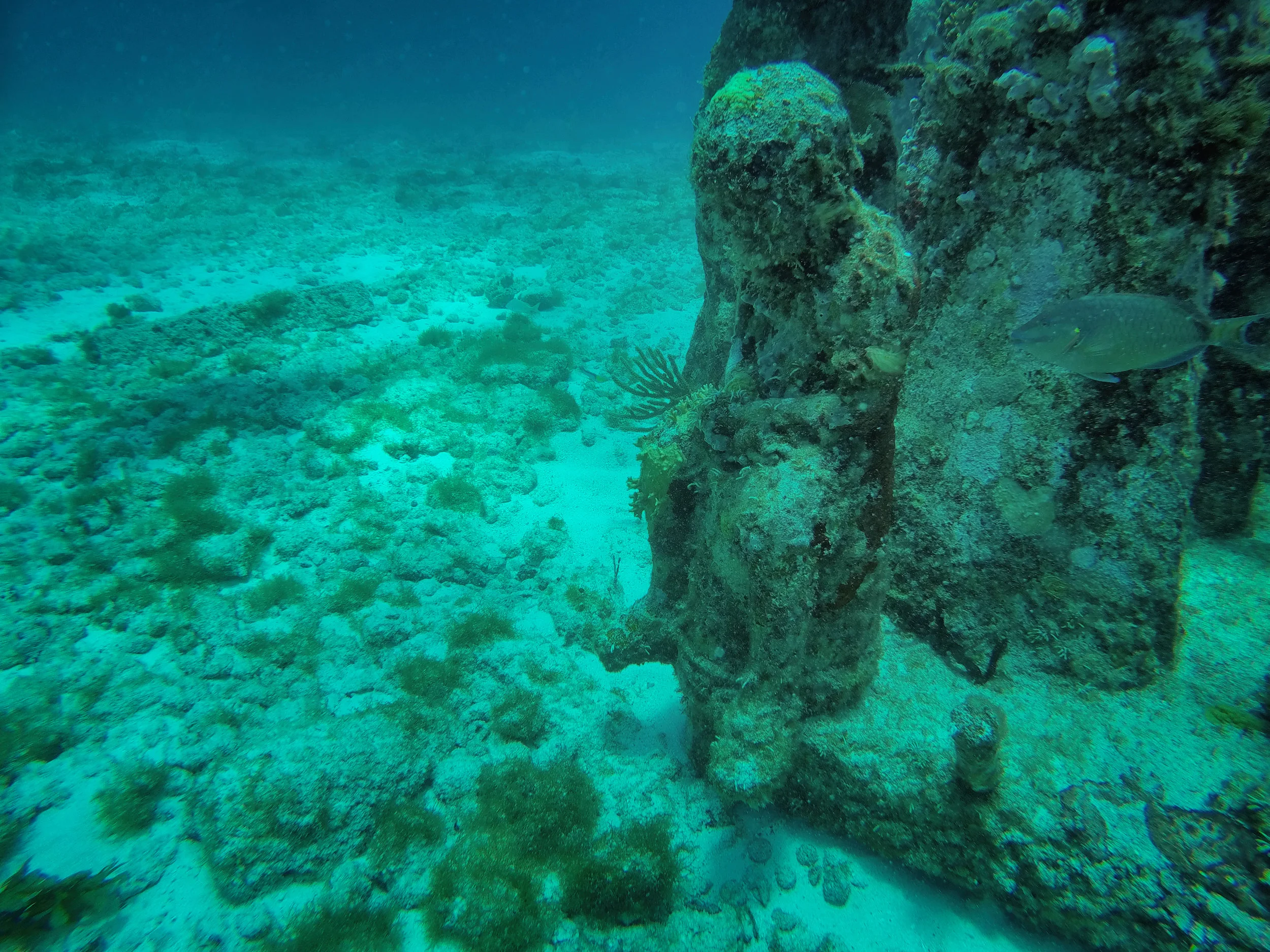 MUSA — Small Town Big World