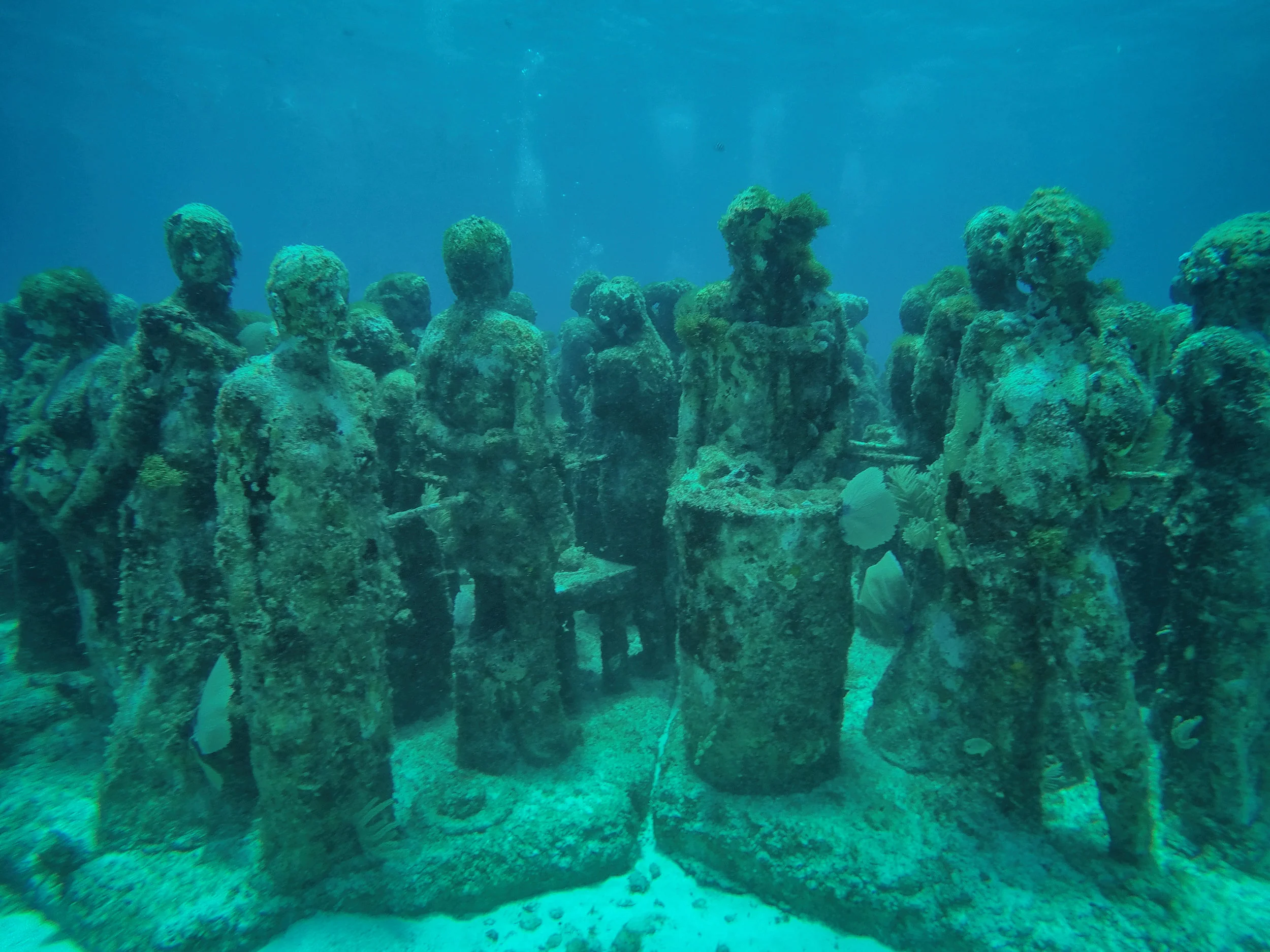 MUSA — Small Town Big World