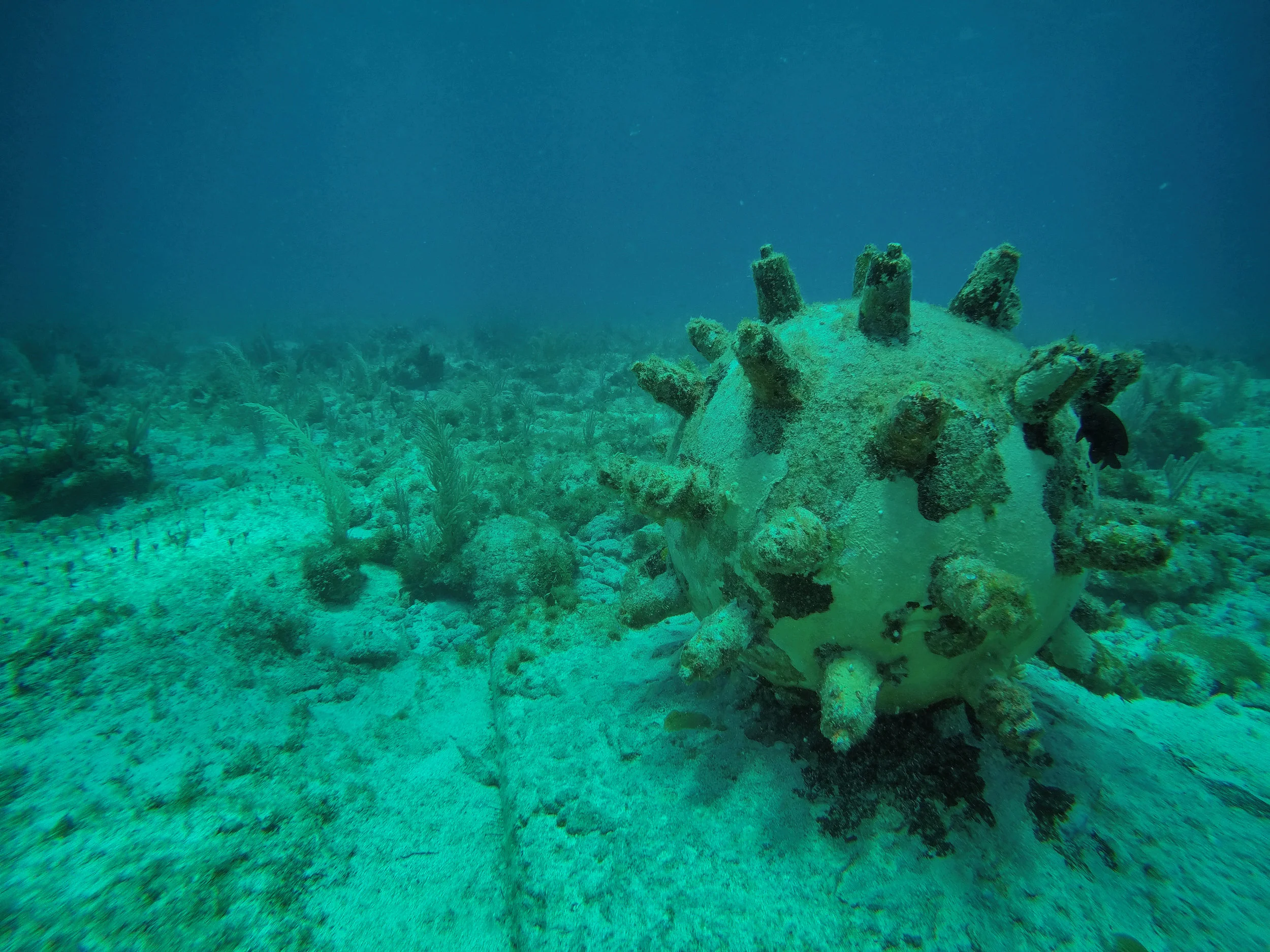 MUSA — Small Town Big World