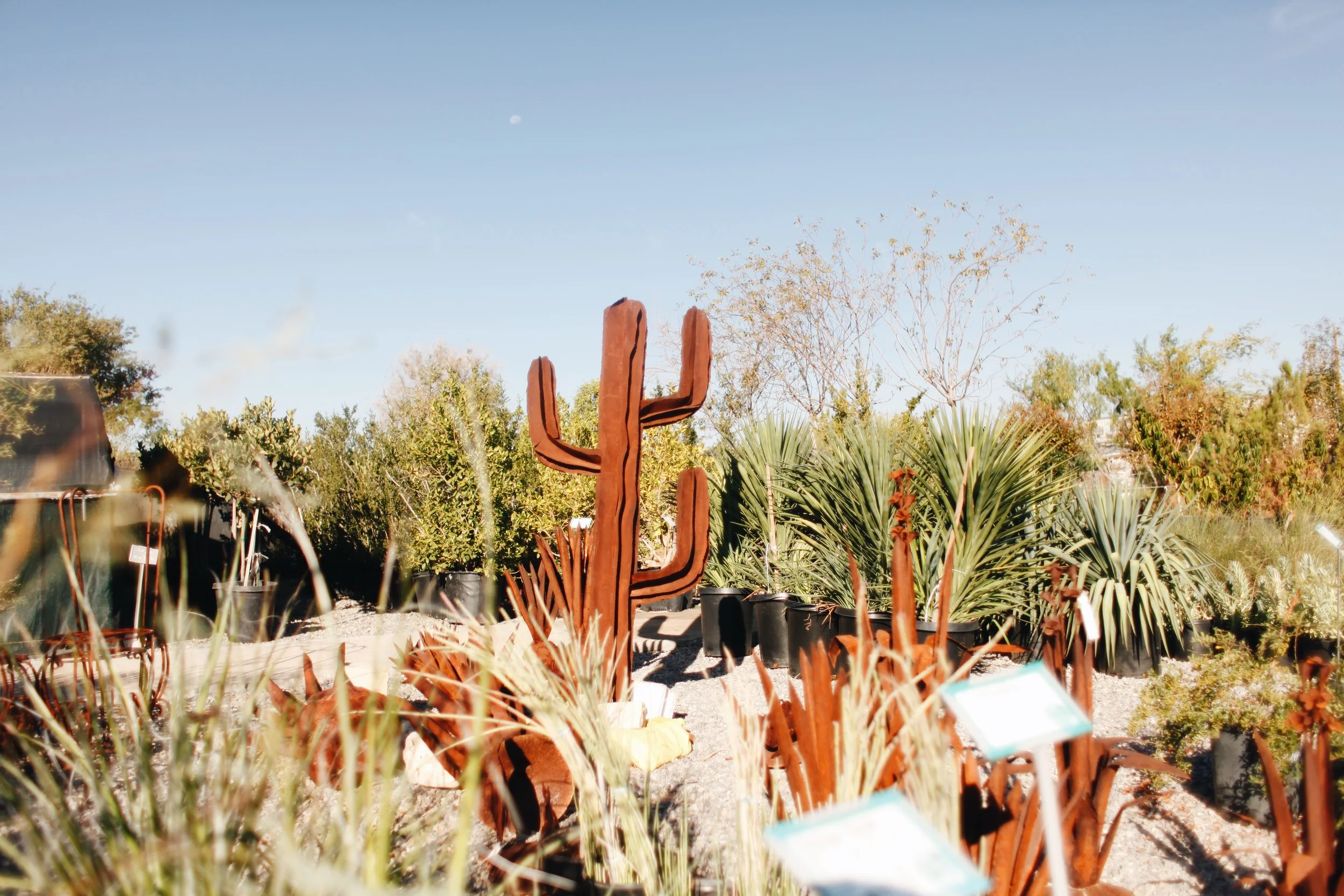 our nursery — Sunset Gardens