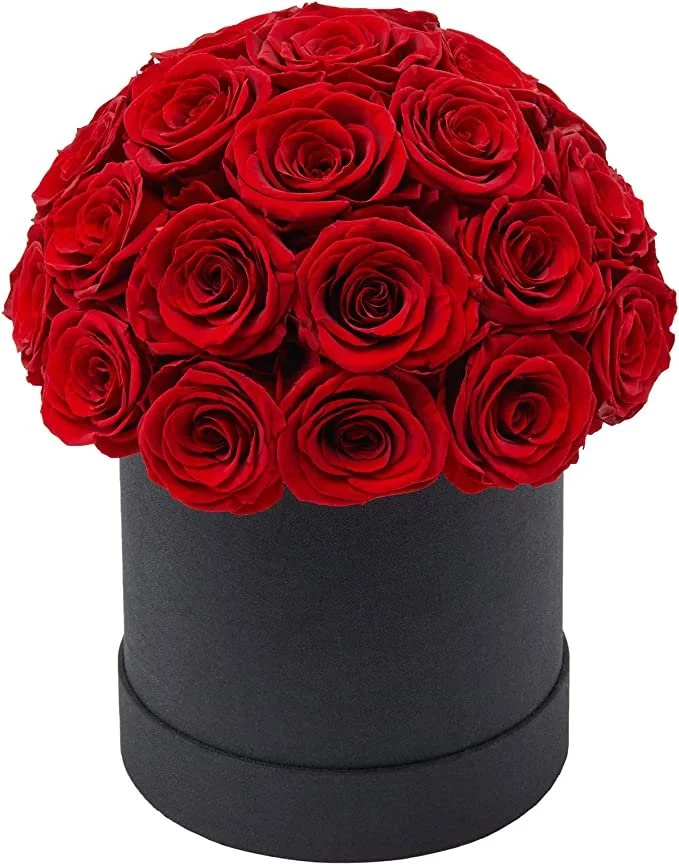 Rose In A Dome
