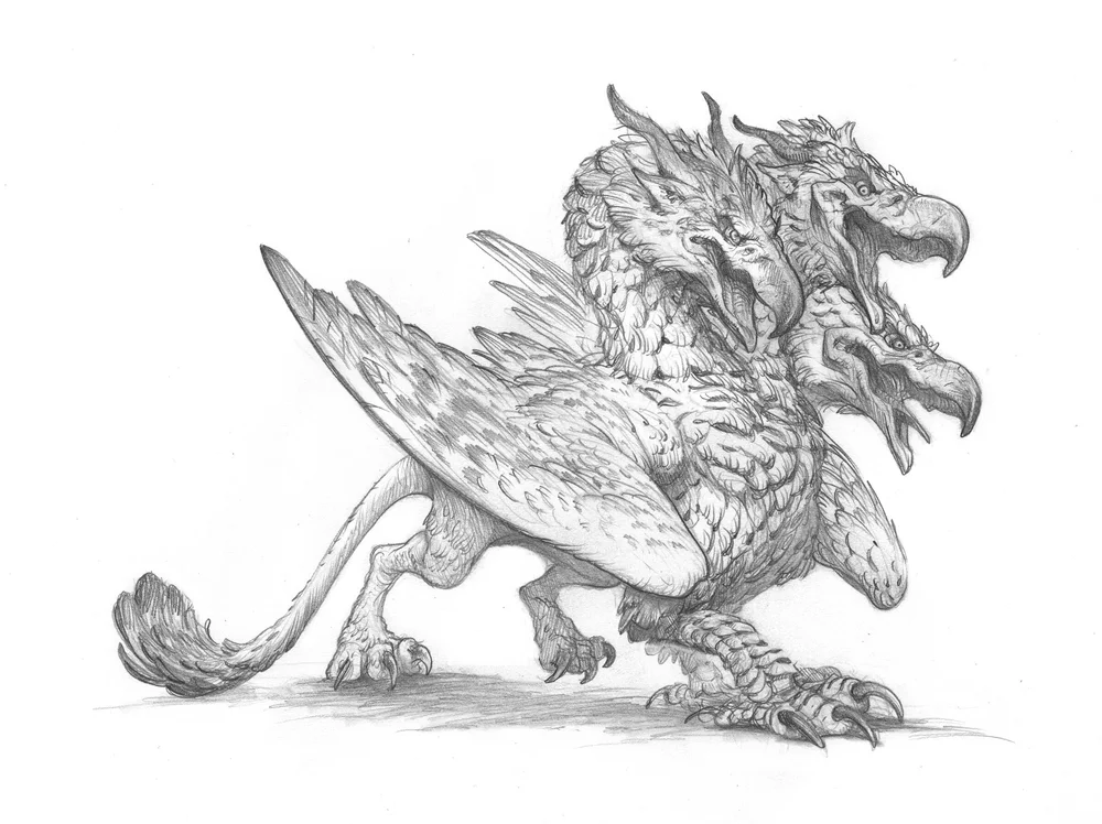 Gryphon Drawings