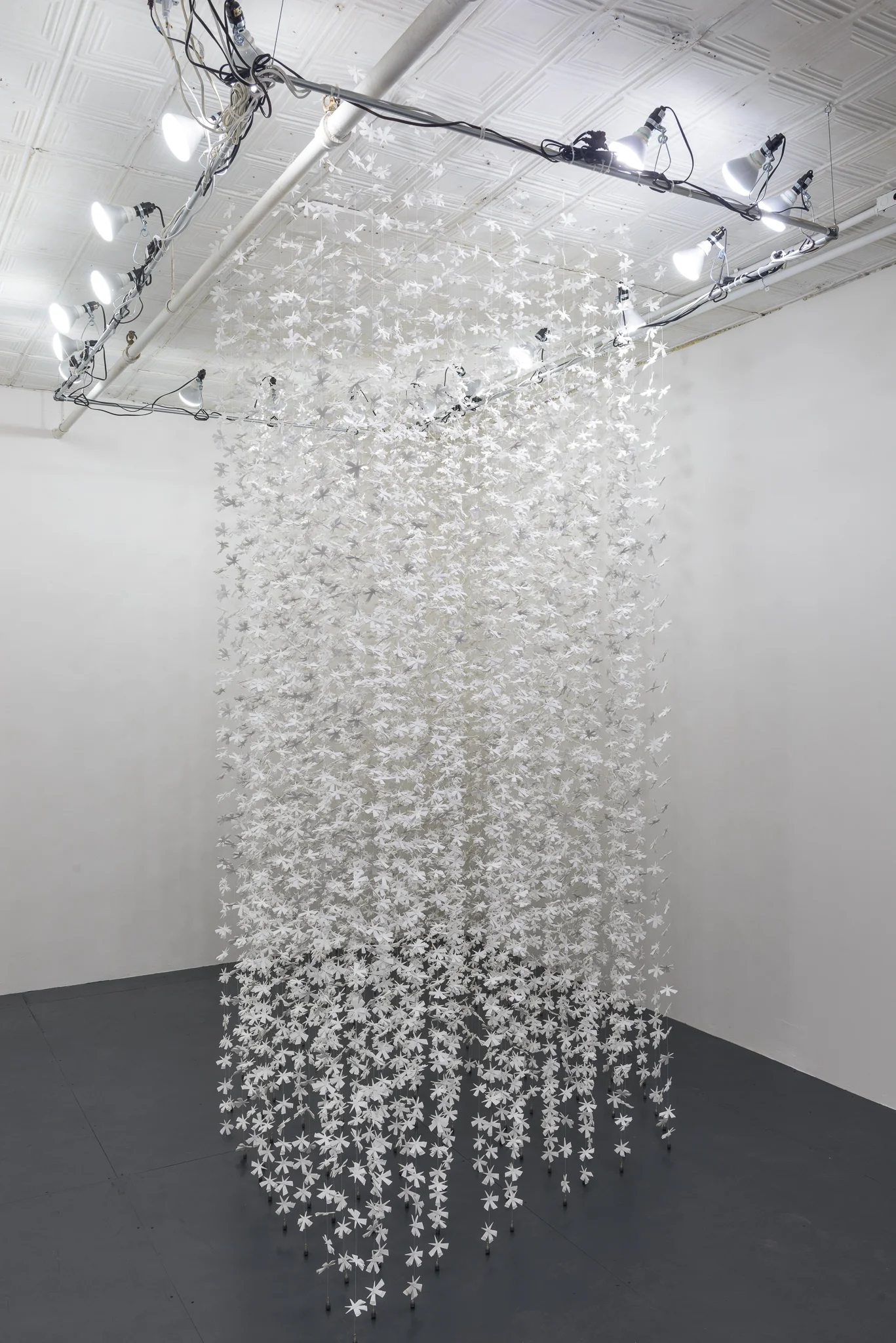 mark twain — LIZ JAFF