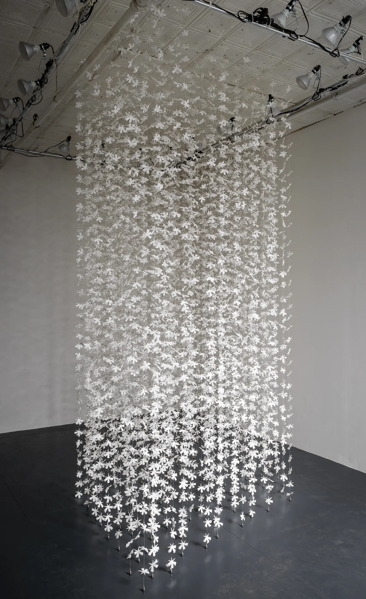 mark twain — LIZ JAFF