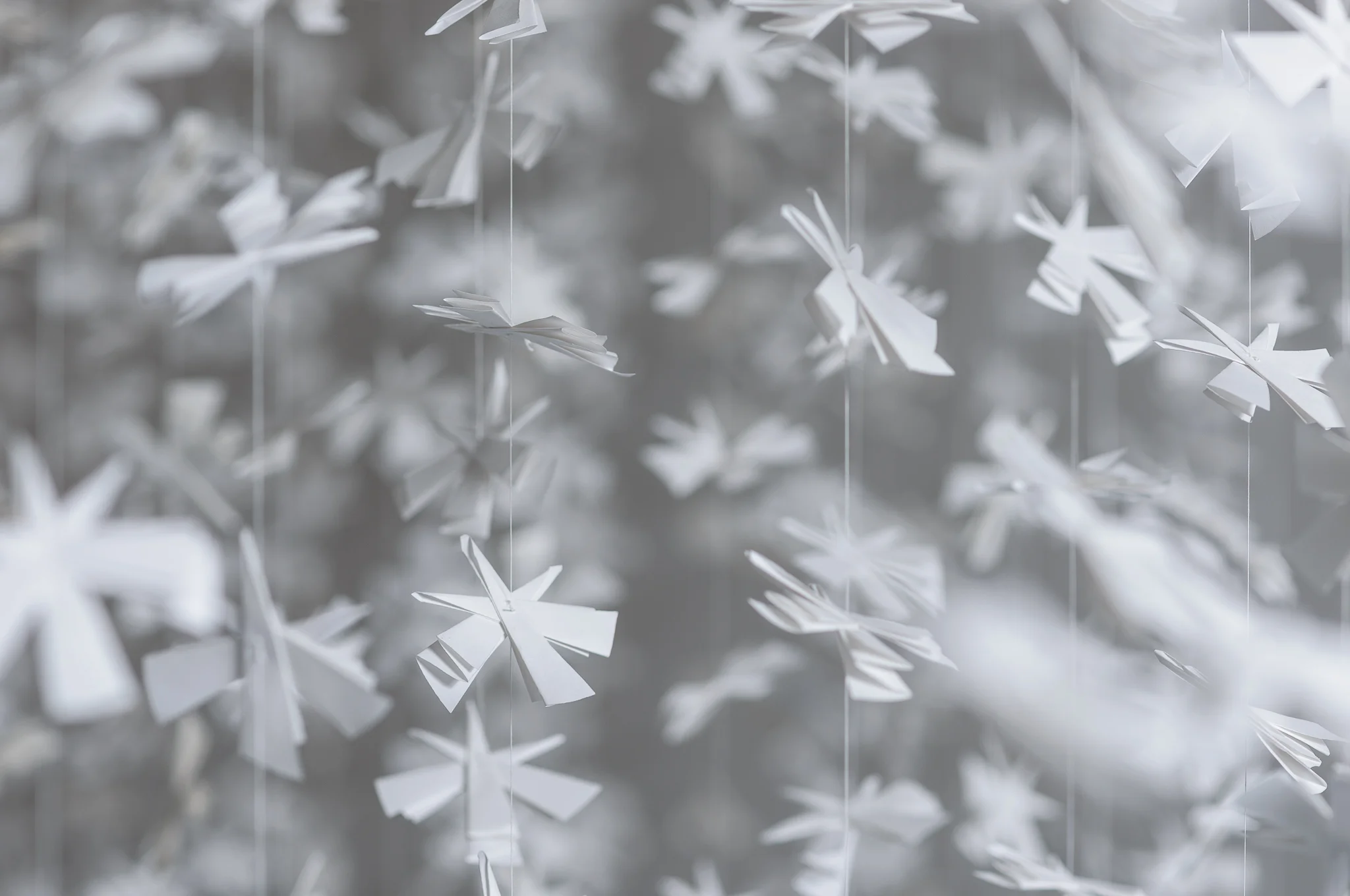 mark twain — LIZ JAFF