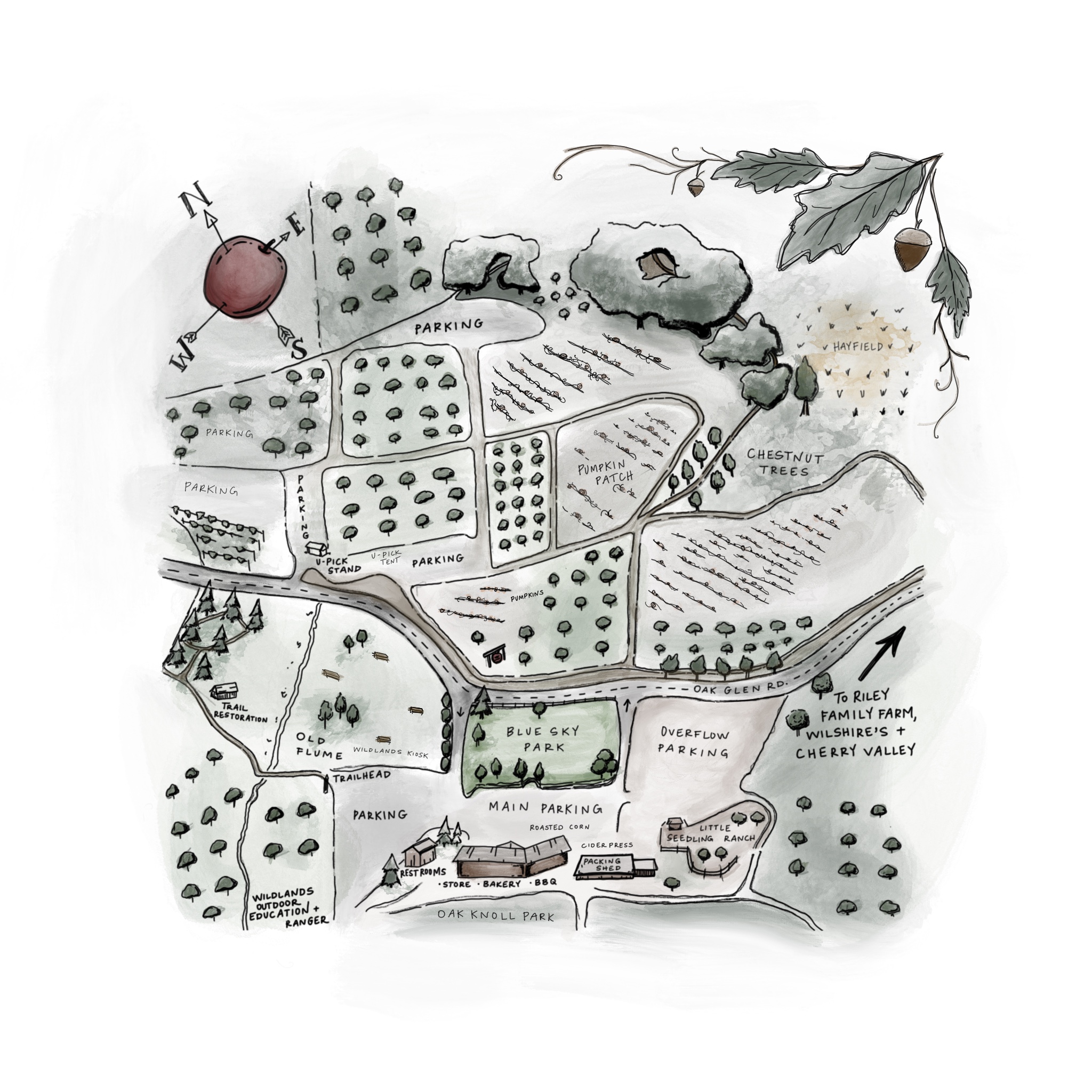 Apple Season — Los Rios Rancho