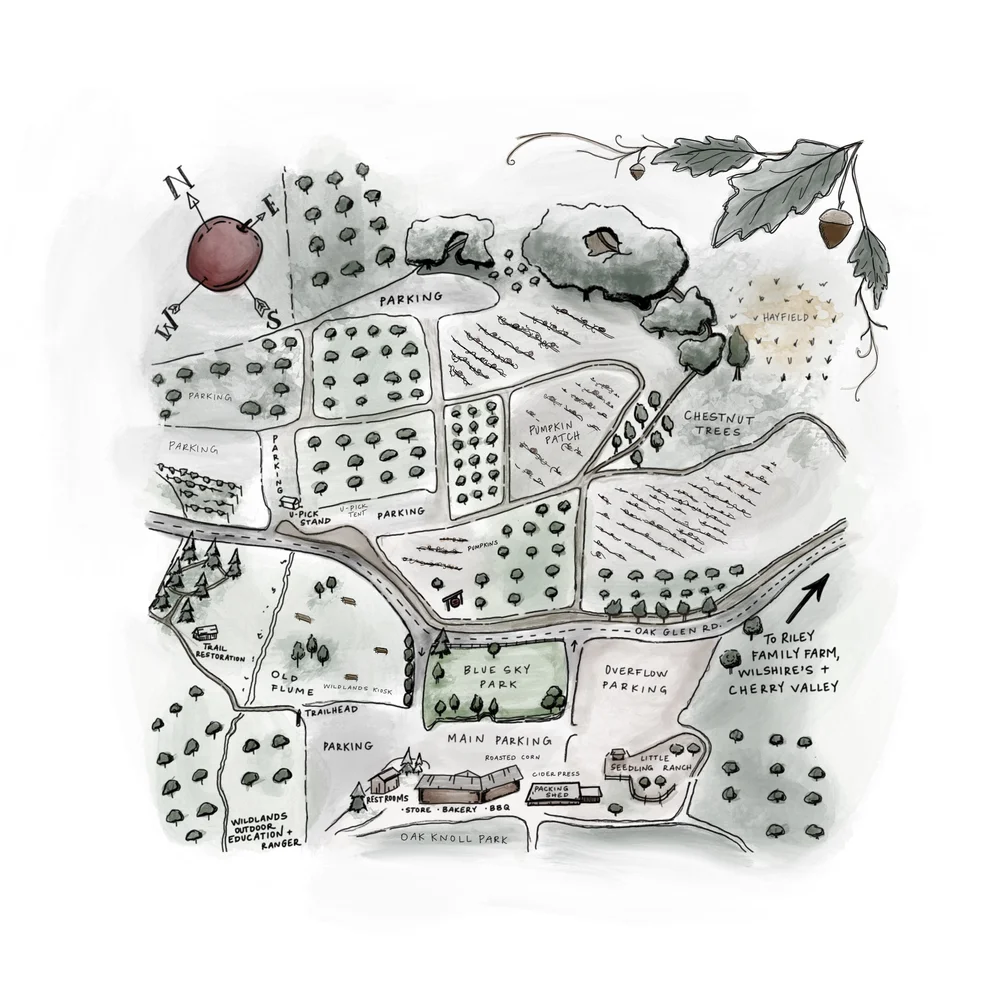 Apple Season — Los Rios Rancho